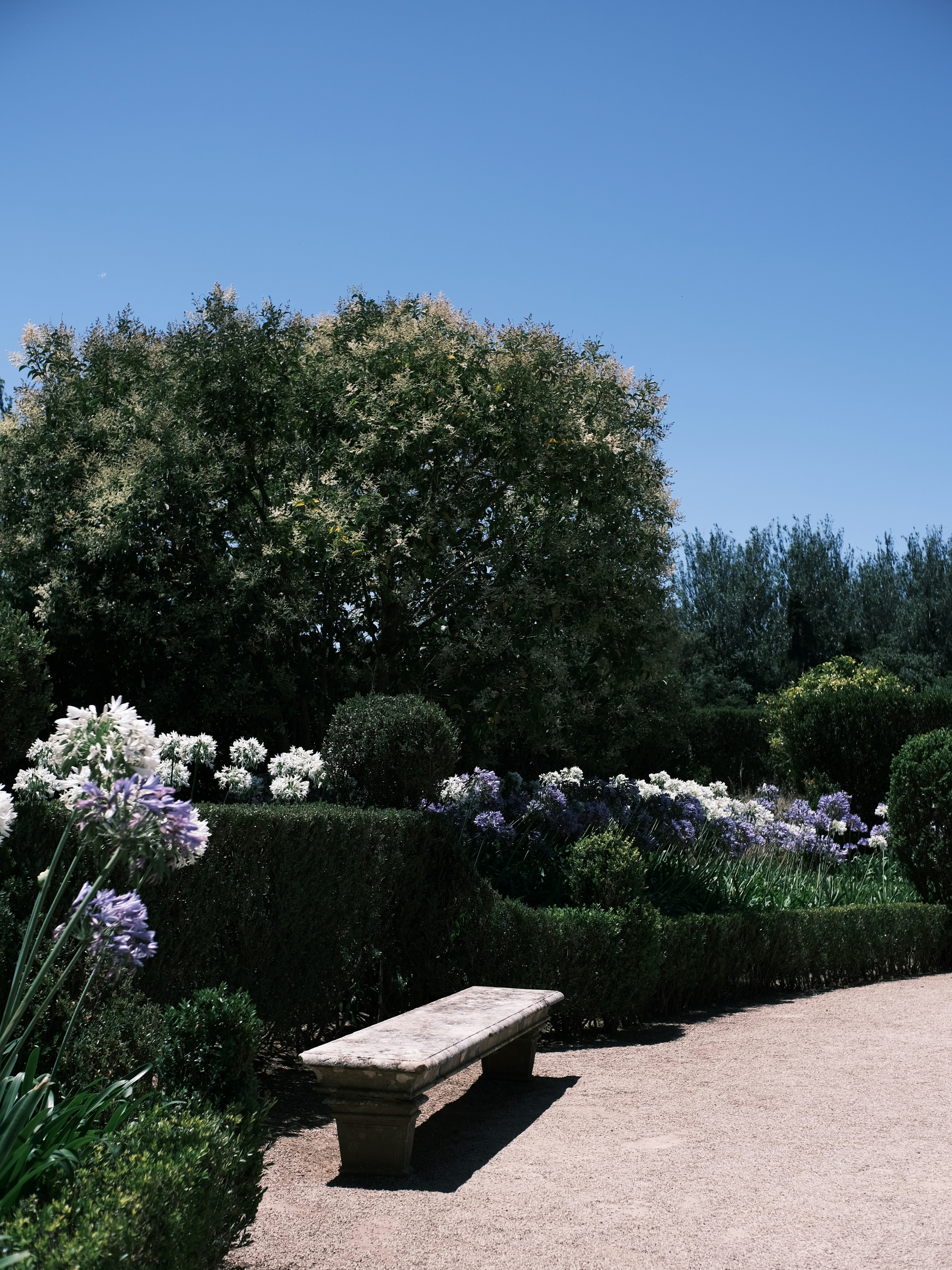 Un banco de piedra en medio de un jardín foto – Imagen de Verde gratuita en Unsplash