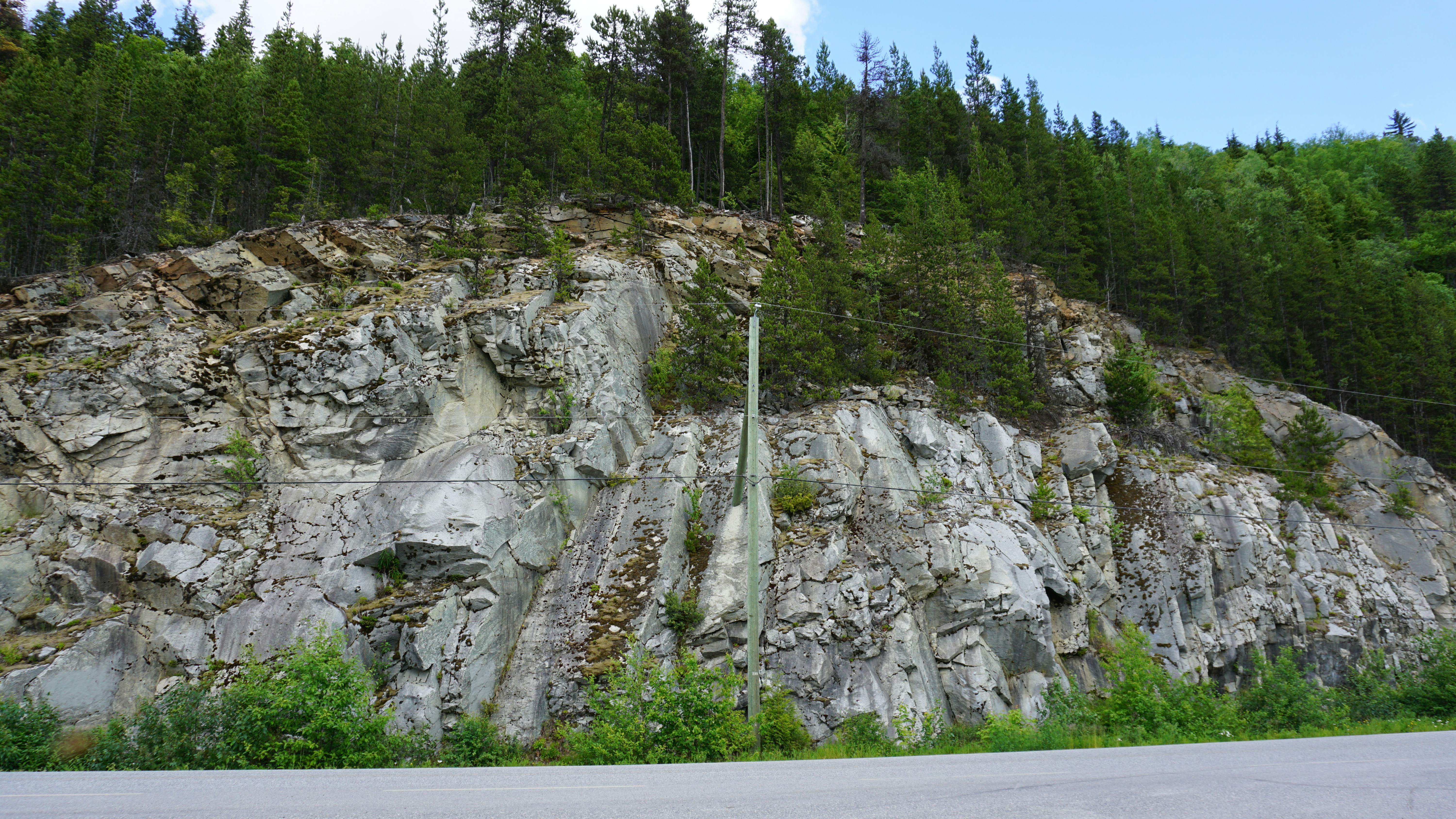 Photo by J Meredith with Sony Alpha 6000