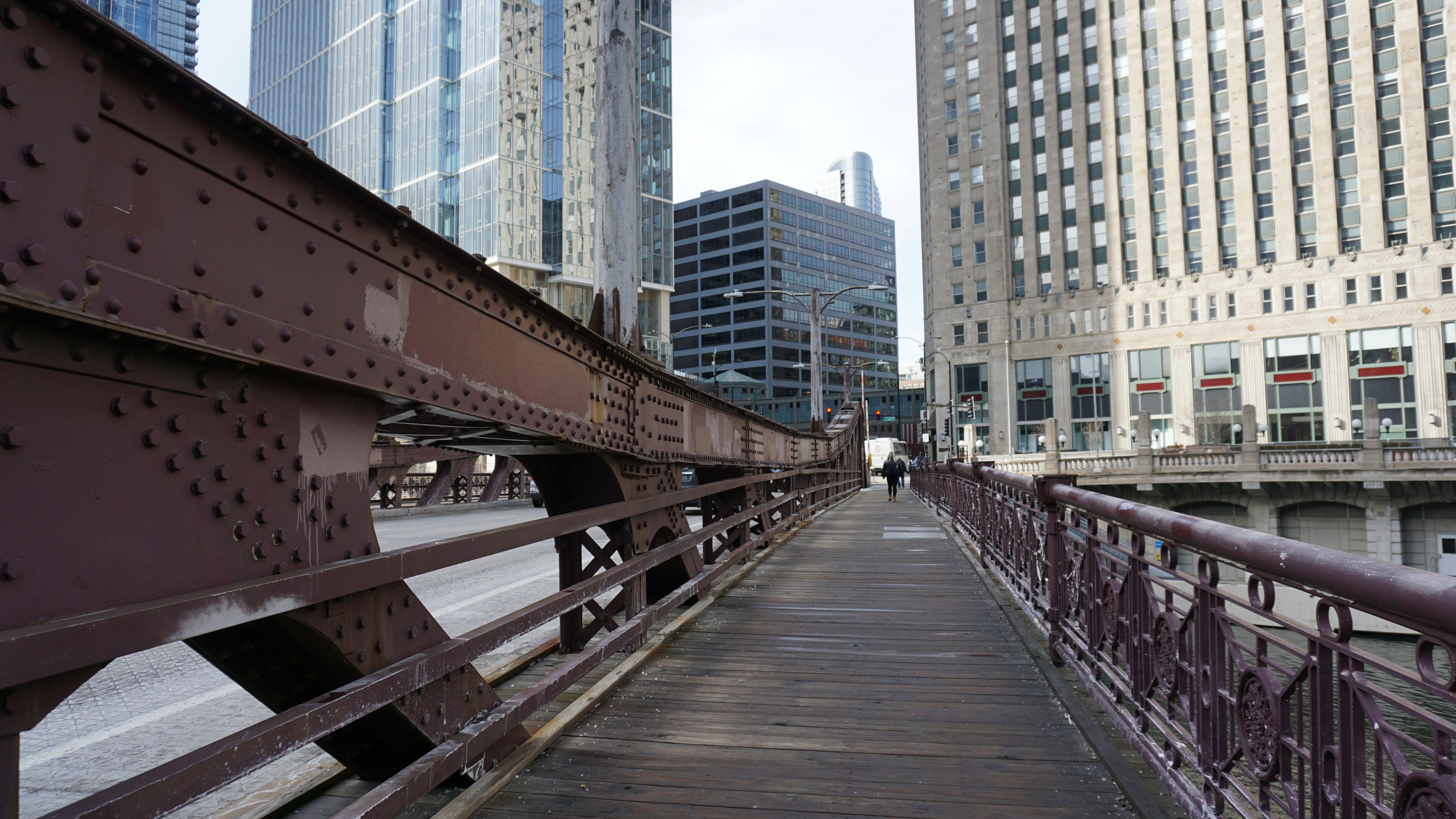 Photo by J Meredith with Sony Alpha 6000