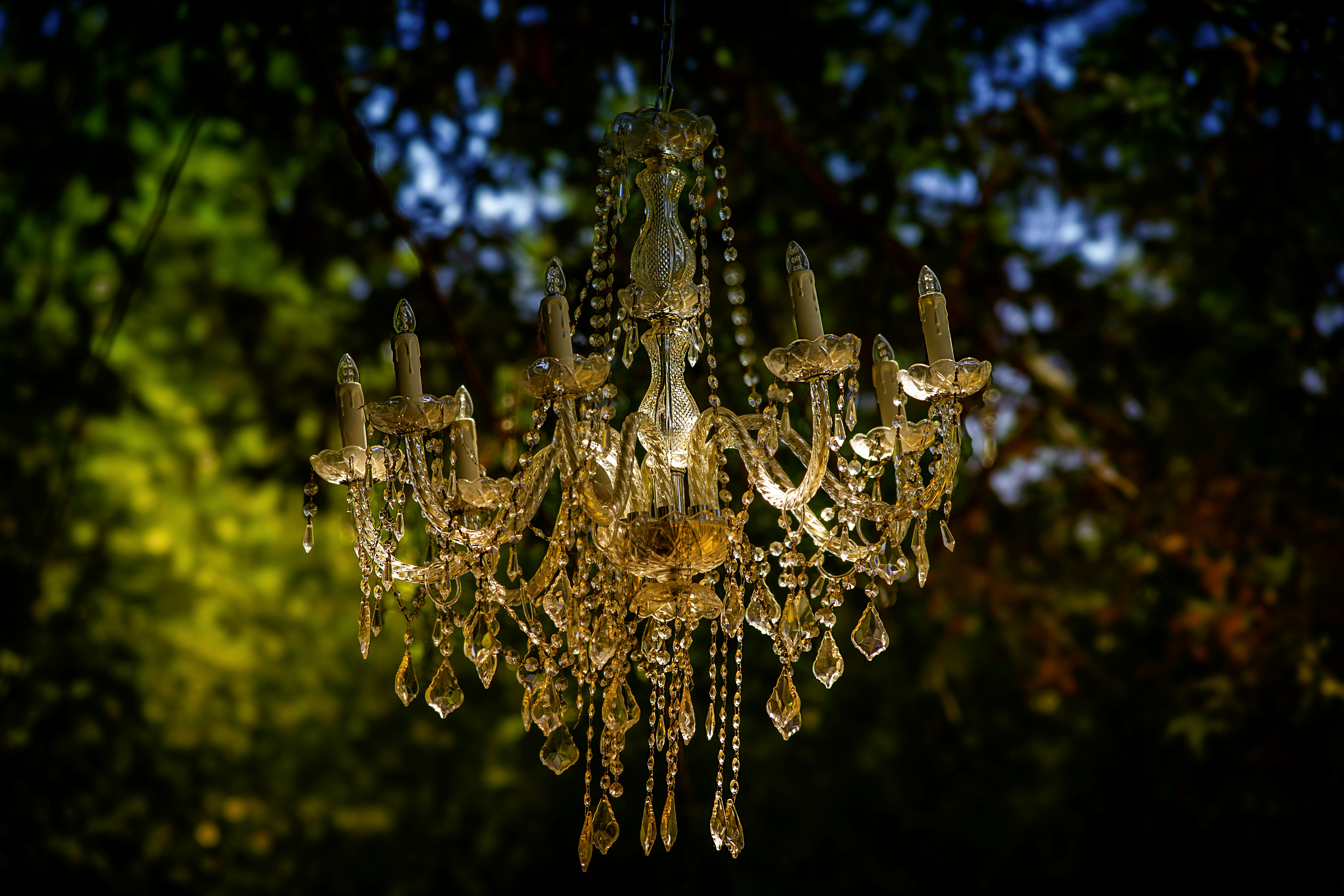 Photo by Hassan Pasha with Canon EOS 5D Mark III