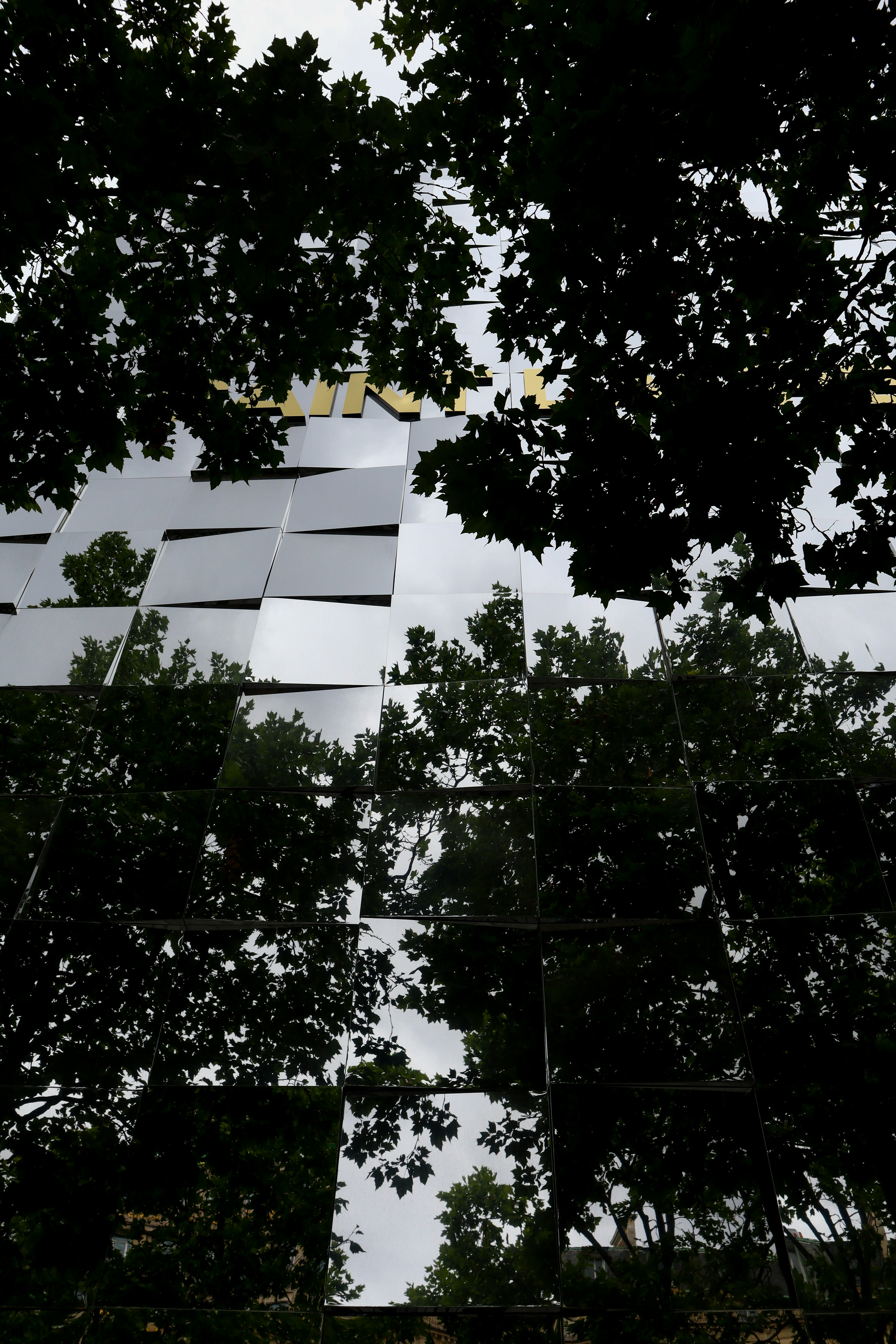 Canopy Reflections on a Fragmented Glass Facade
