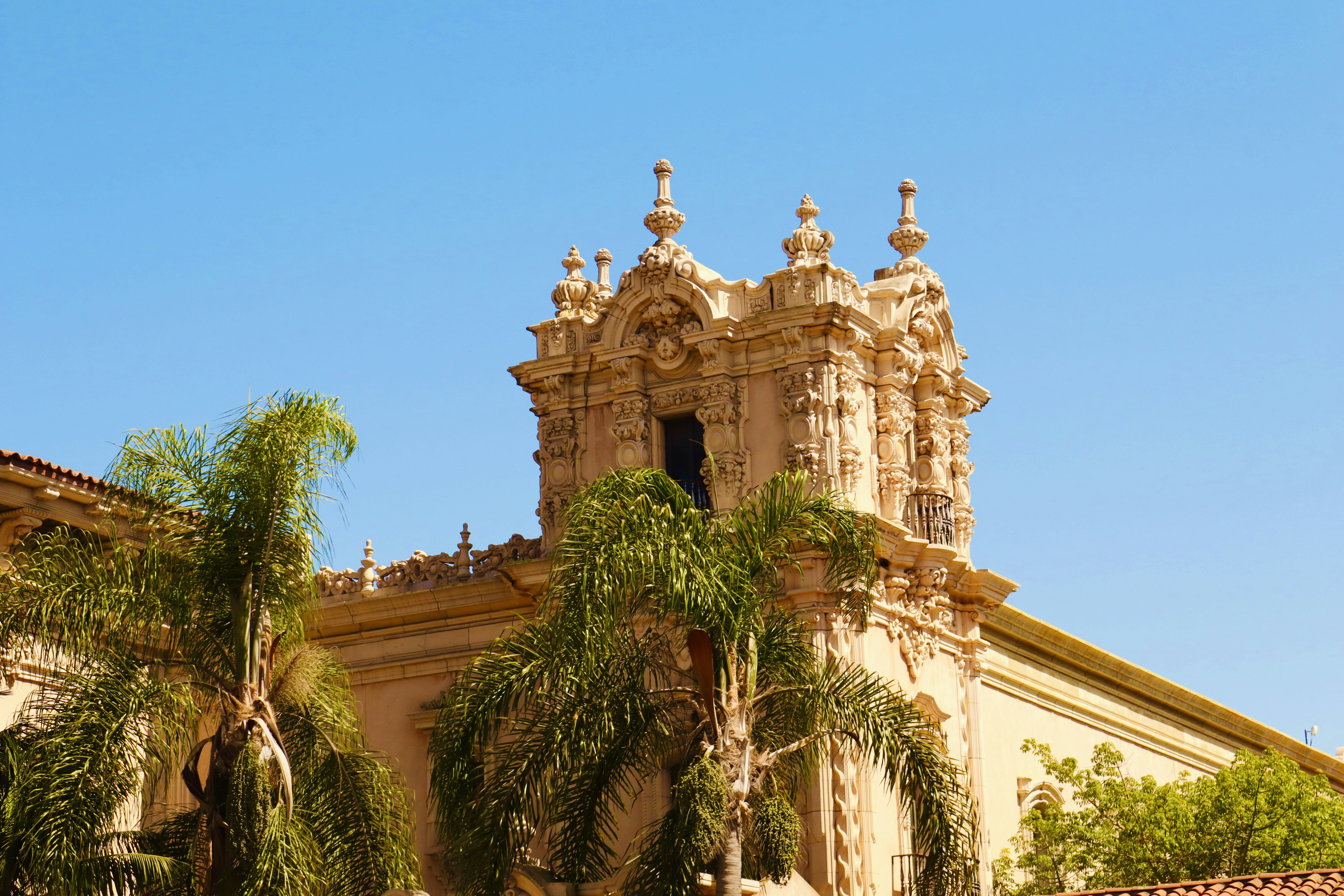 Photo by Chloe with Canon EOS R100