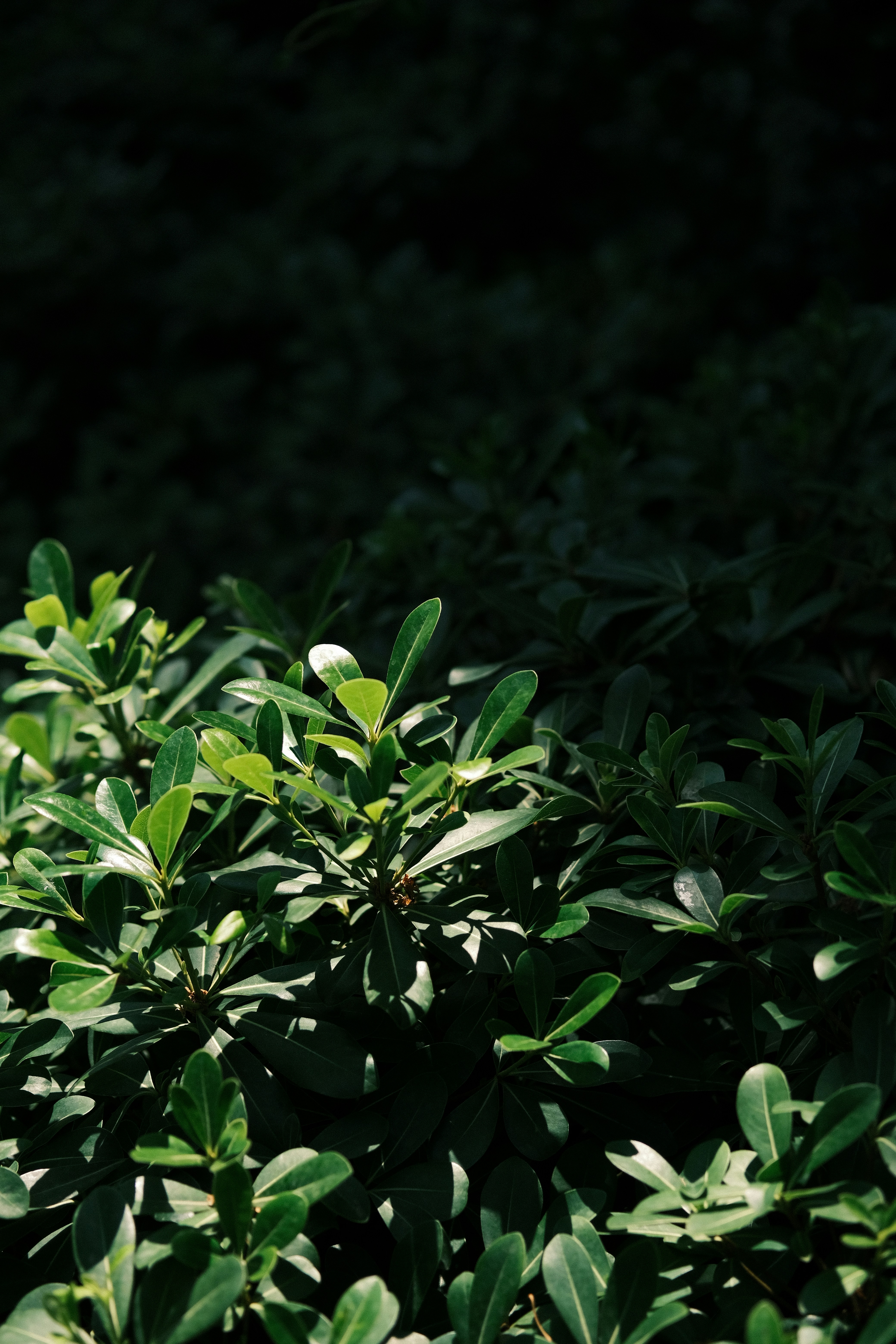 Photo by Esra Afşar with Fujifilm X-T4