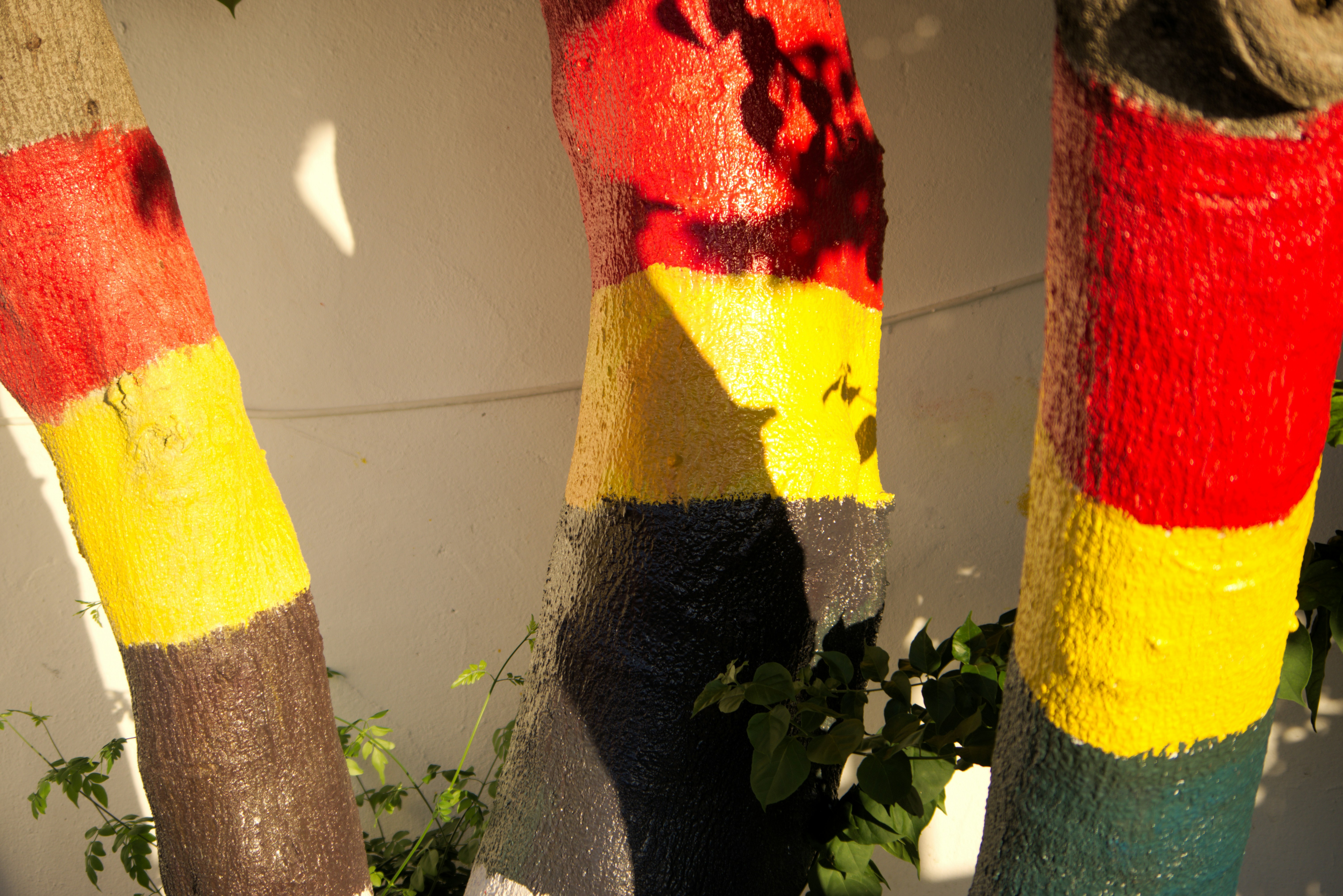 A close up of a group of painted wooden poles photo – Free Art Image on ...