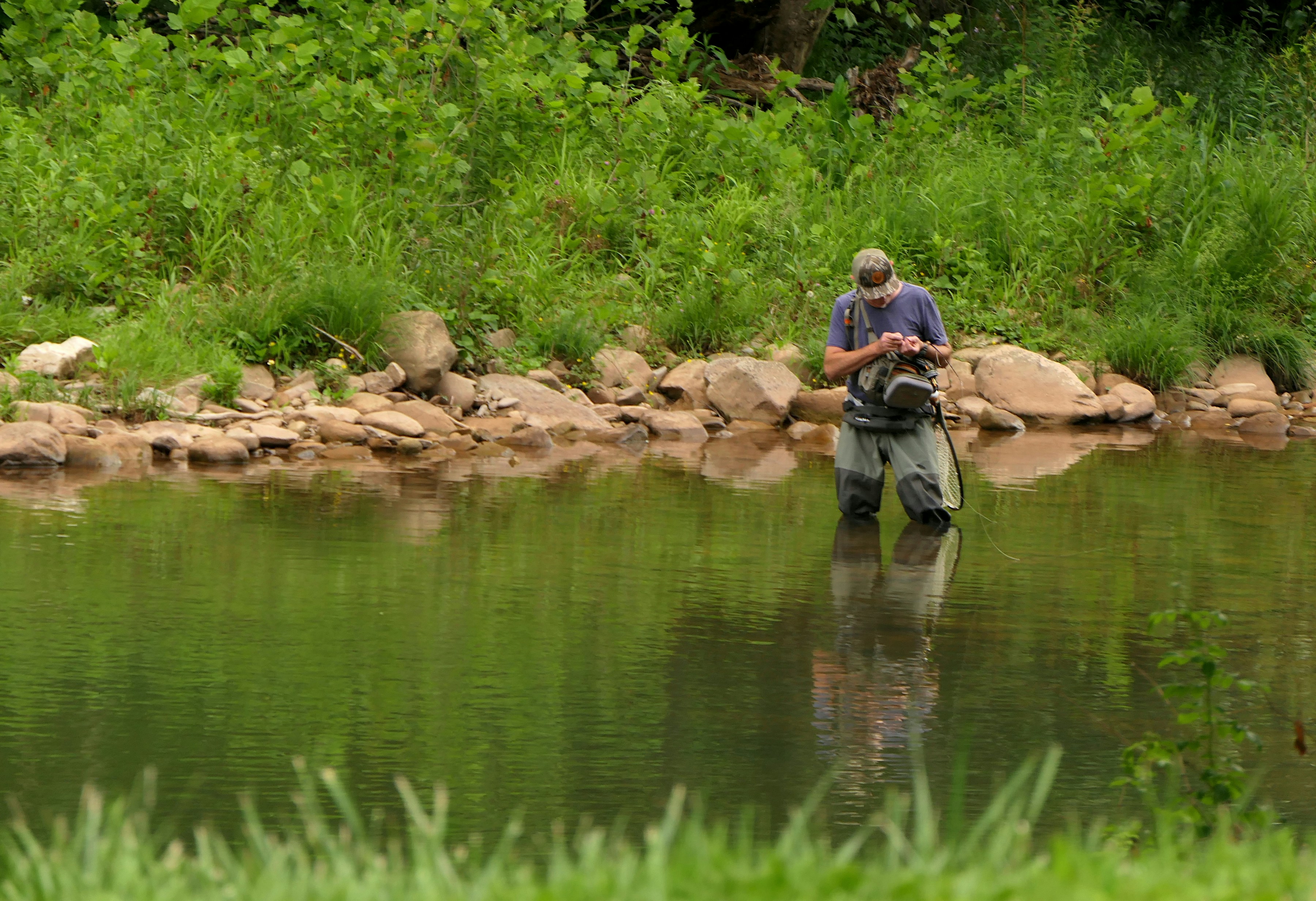 Nature's Observer: A Photographer's Reflection
