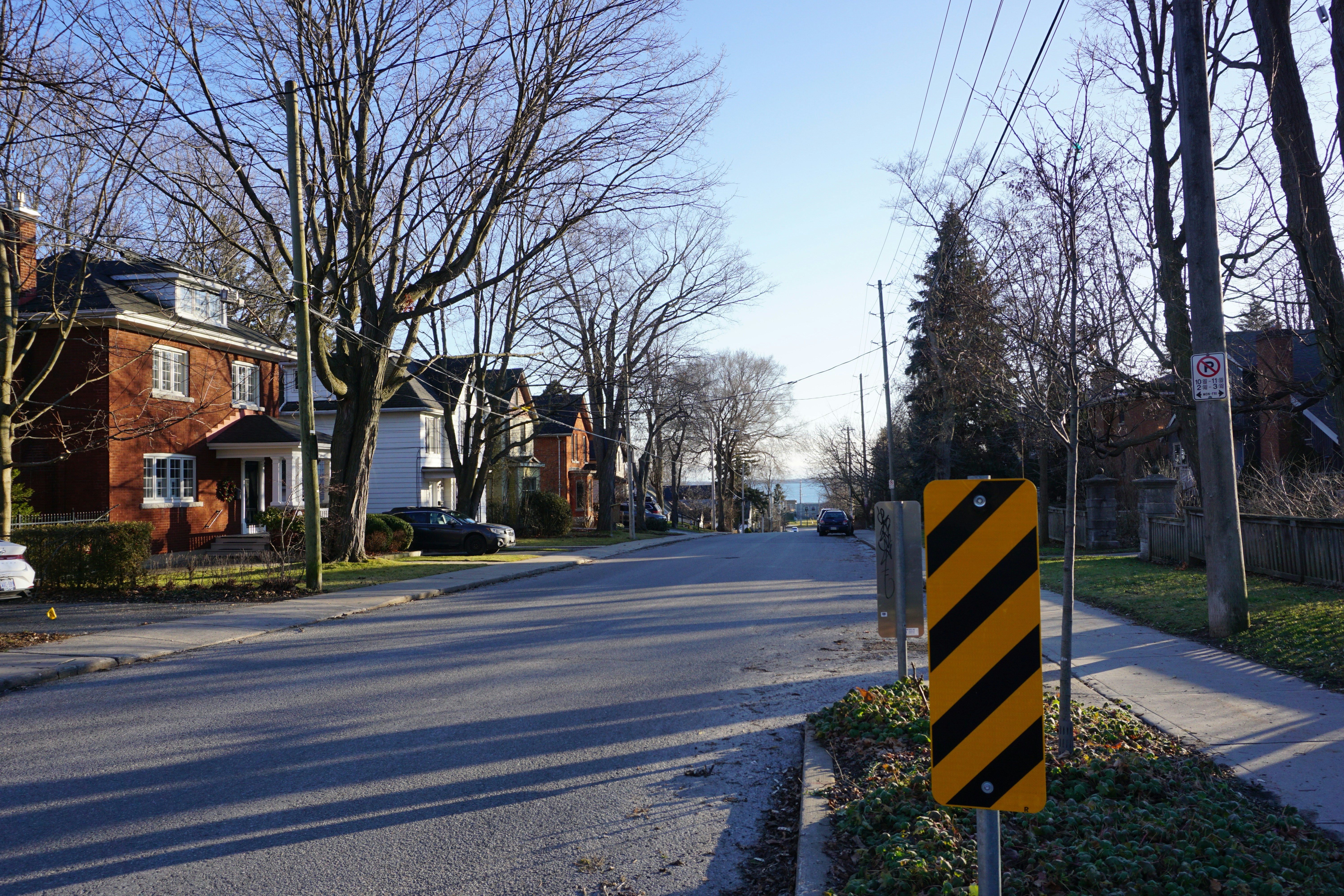 Edge of the Street: A Striped Sentinel Anchors a Quiet Suburban Corridor