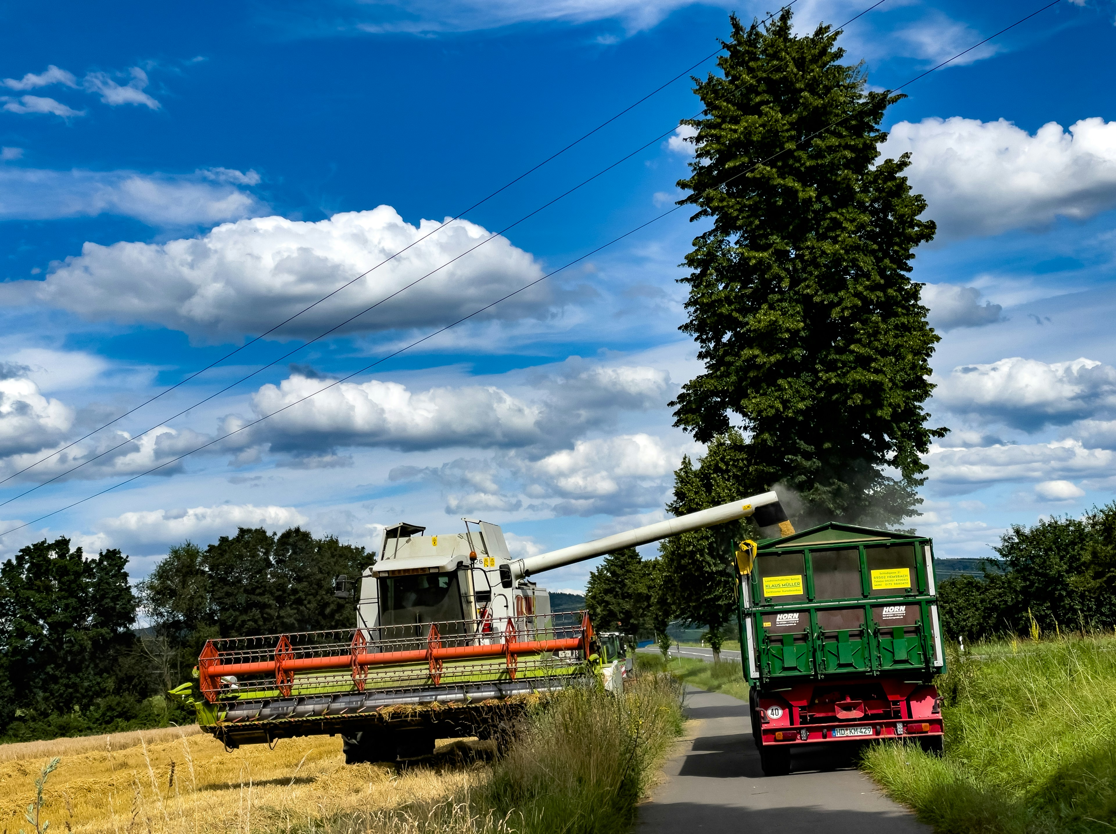 Blue-Sky Harvest on a Quiet Rural Road