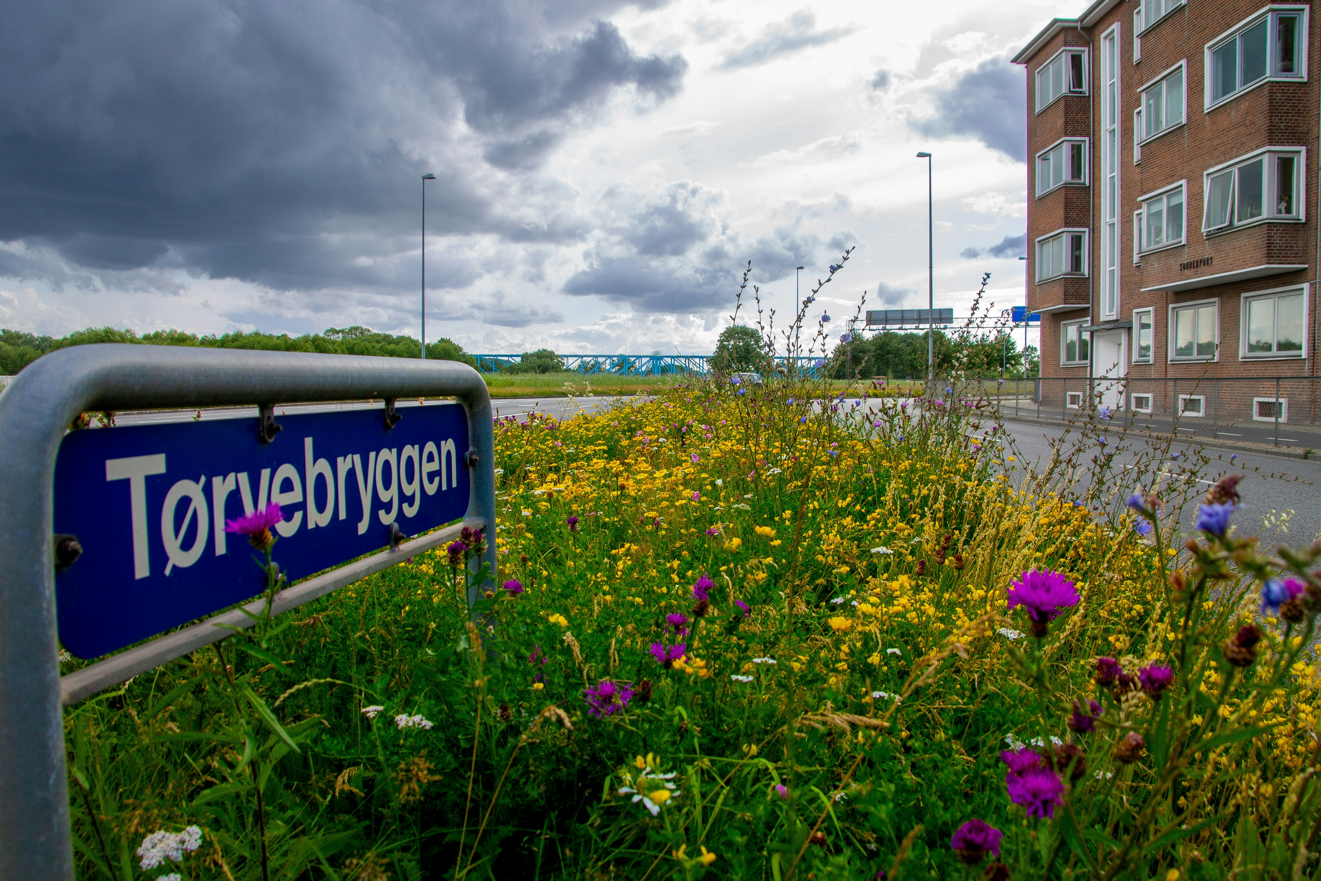 Street sign surrounded by vibrant wildflowers near a road and brick building under a cloudy sky.