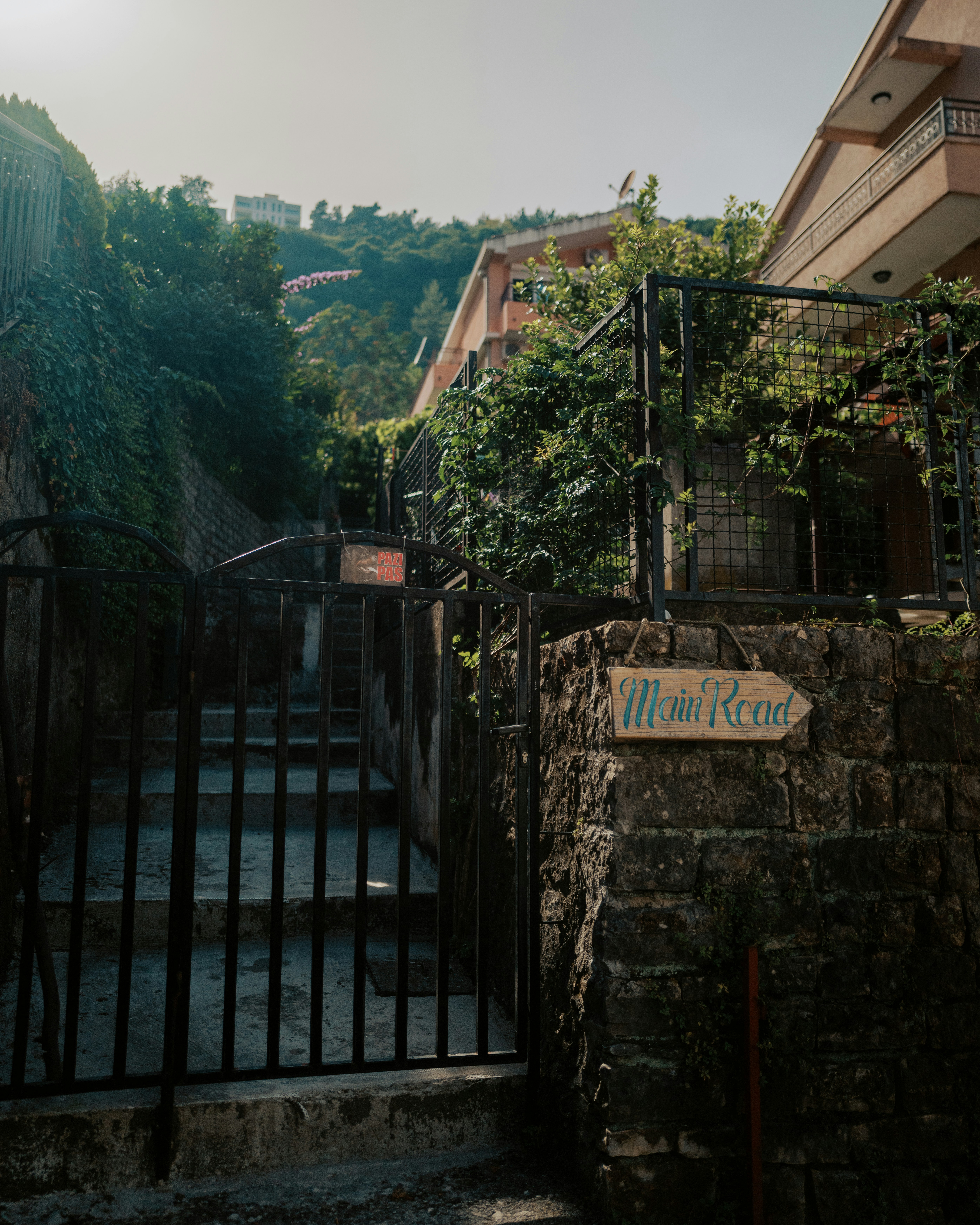 Gate to Main Road: Sunlit Steps and Ivy-Cloaked Terrace