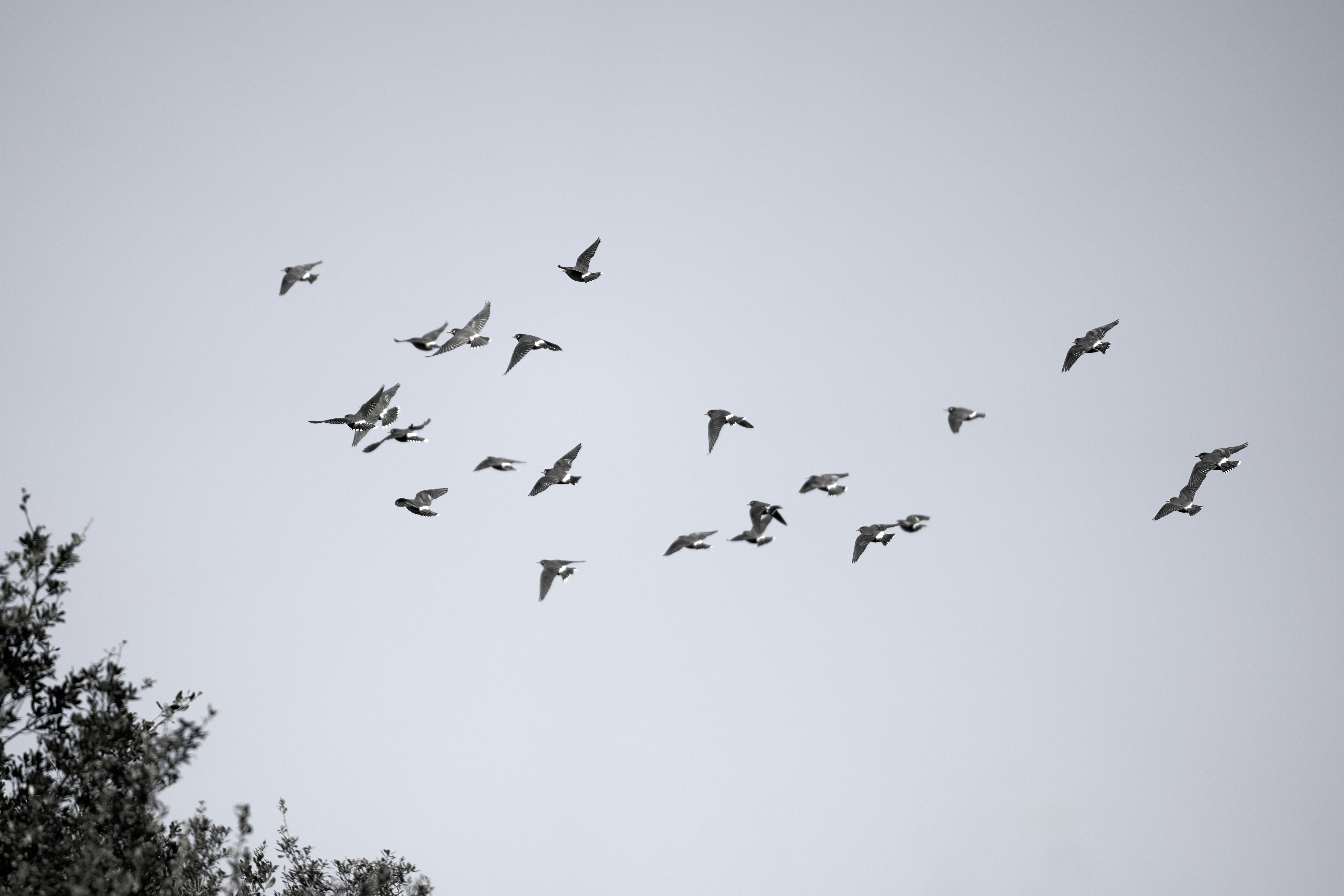 Photo by Buddy AN with Sony Alpha 7R III