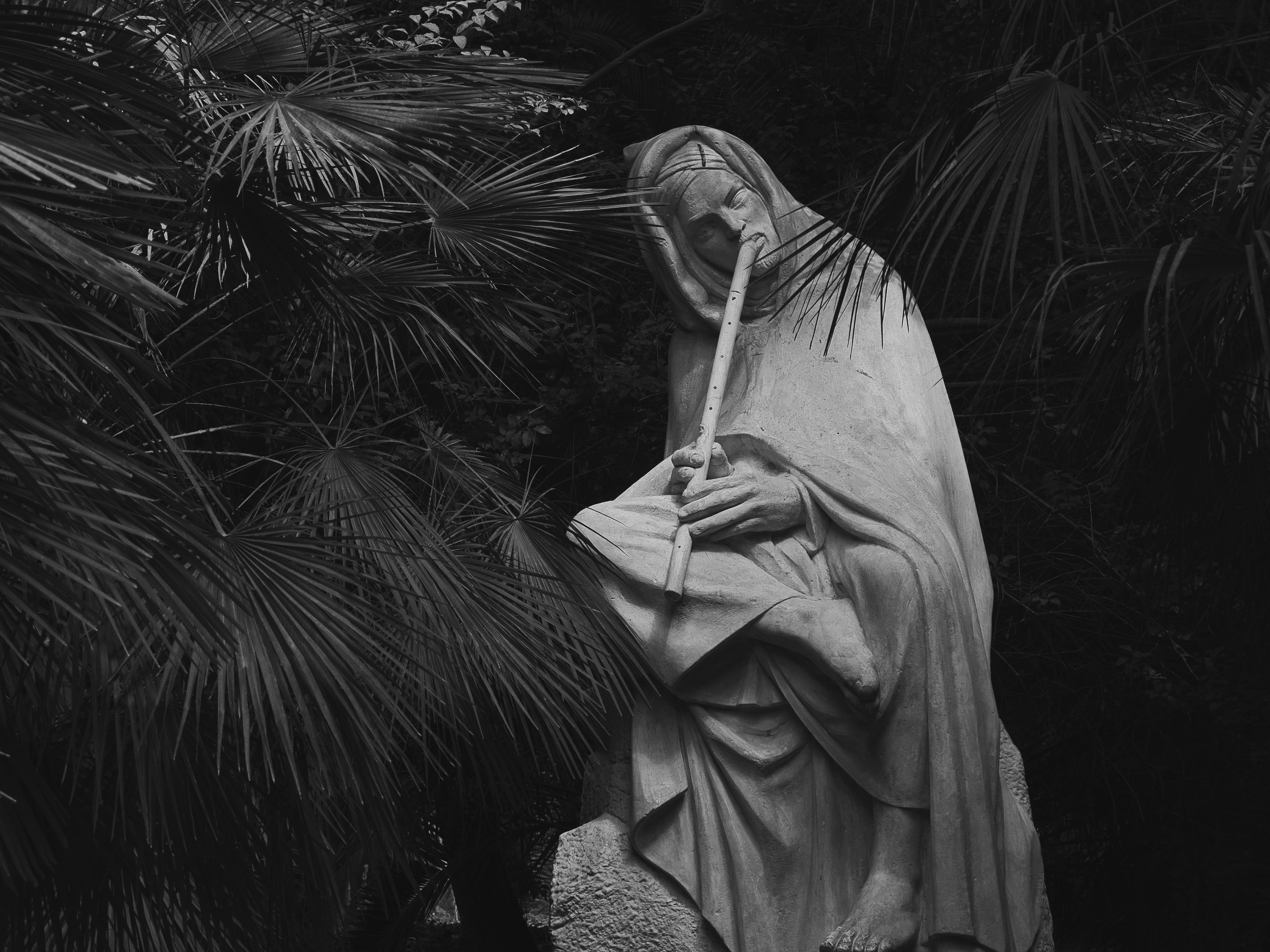 Photo by Guenifi Ouassim with Olympus OM-D E-M1