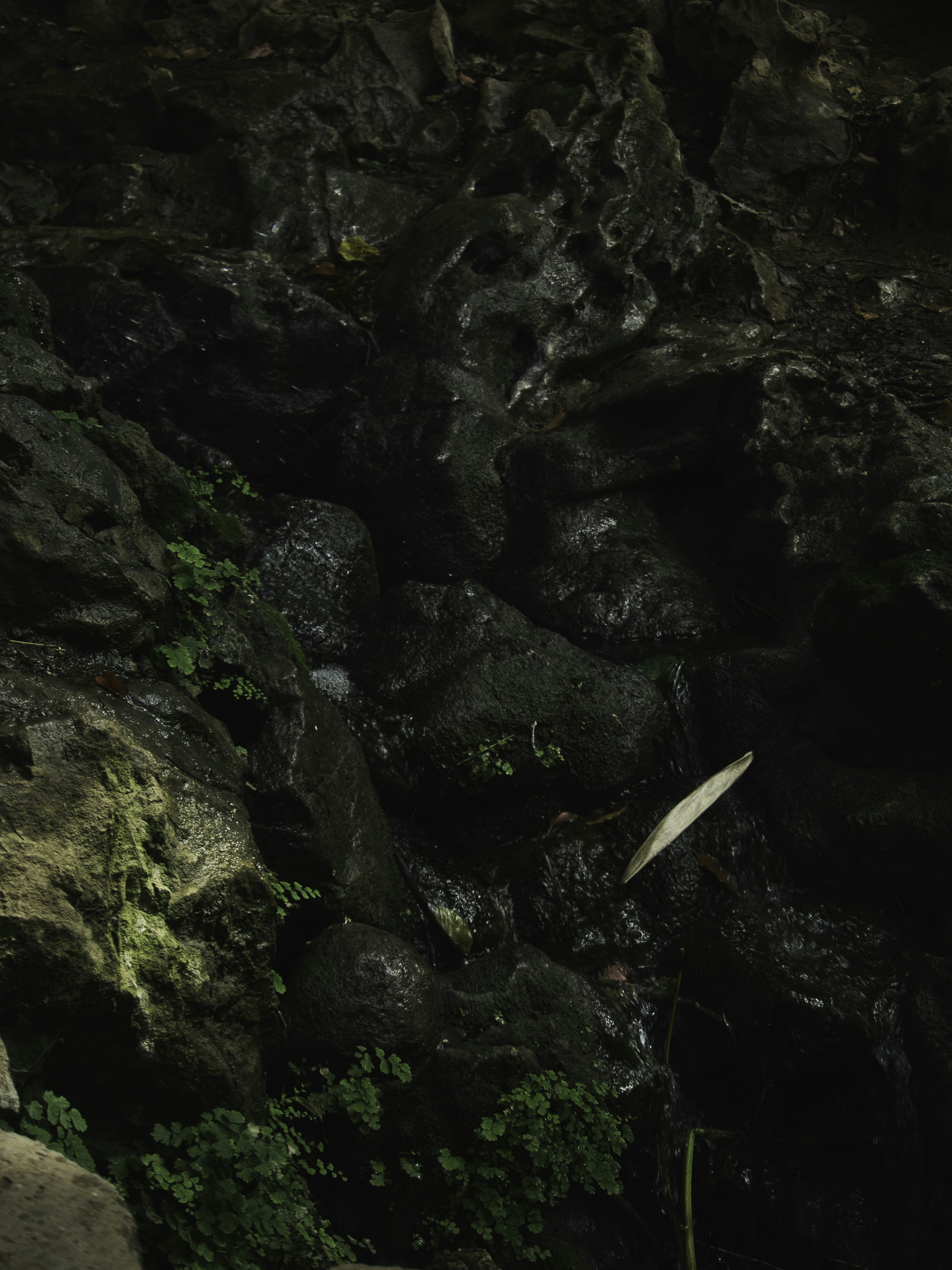 Photo by Guenifi Ouassim with Olympus OM-D E-M1