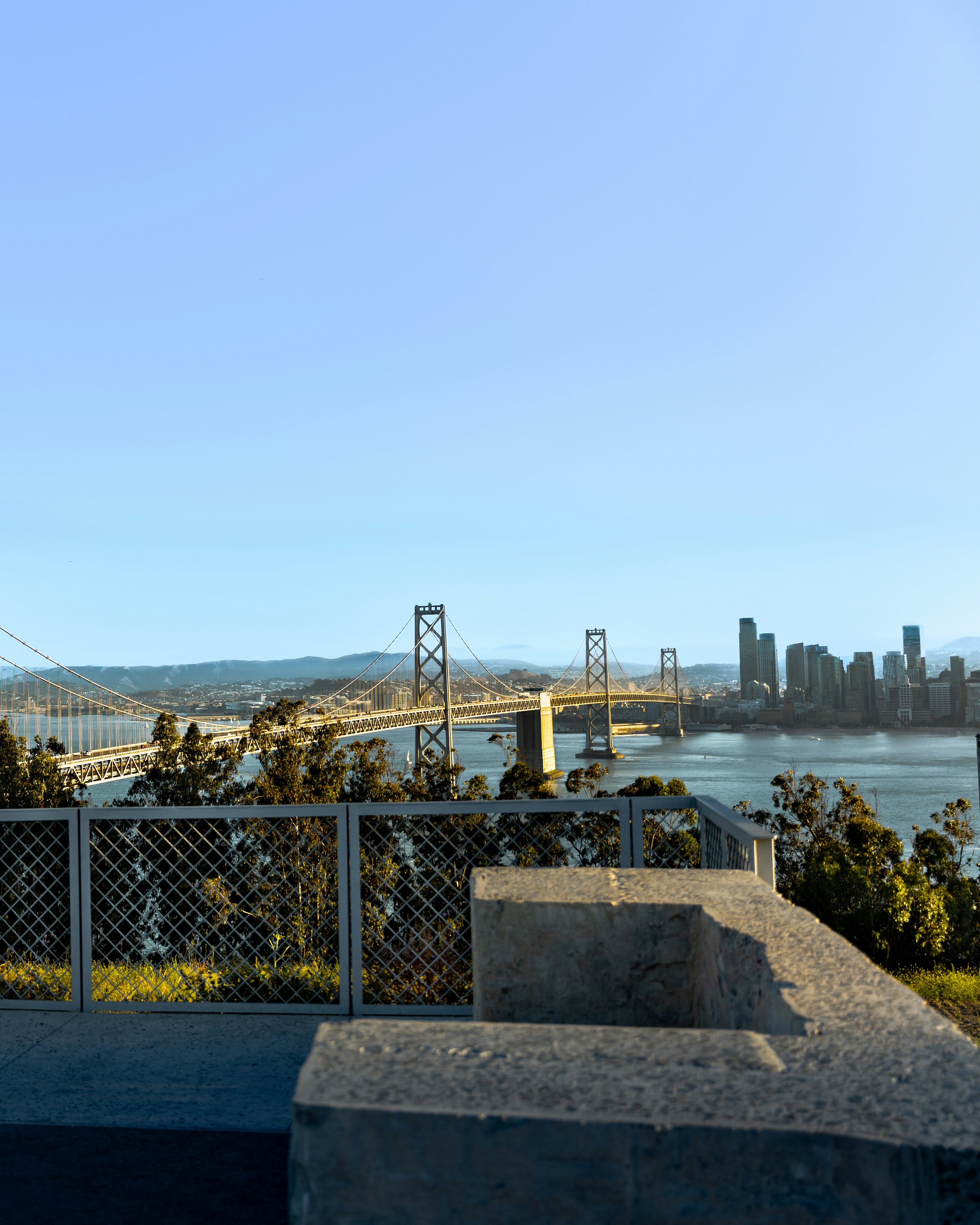 Arc and Anchor: Bay Bridge Vista from a Park Overlook