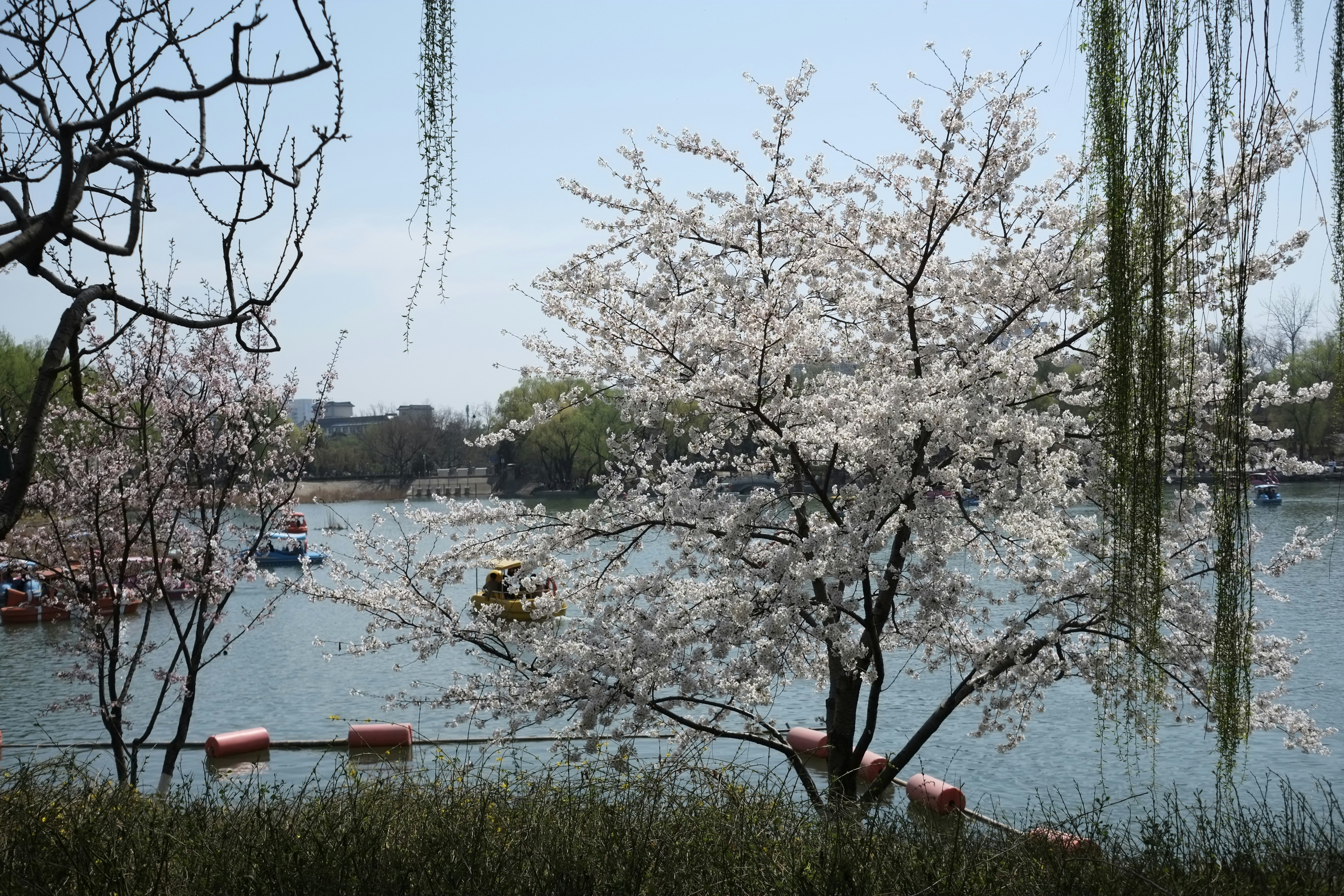 Photo by MChe Lee with Fujifilm X-E1