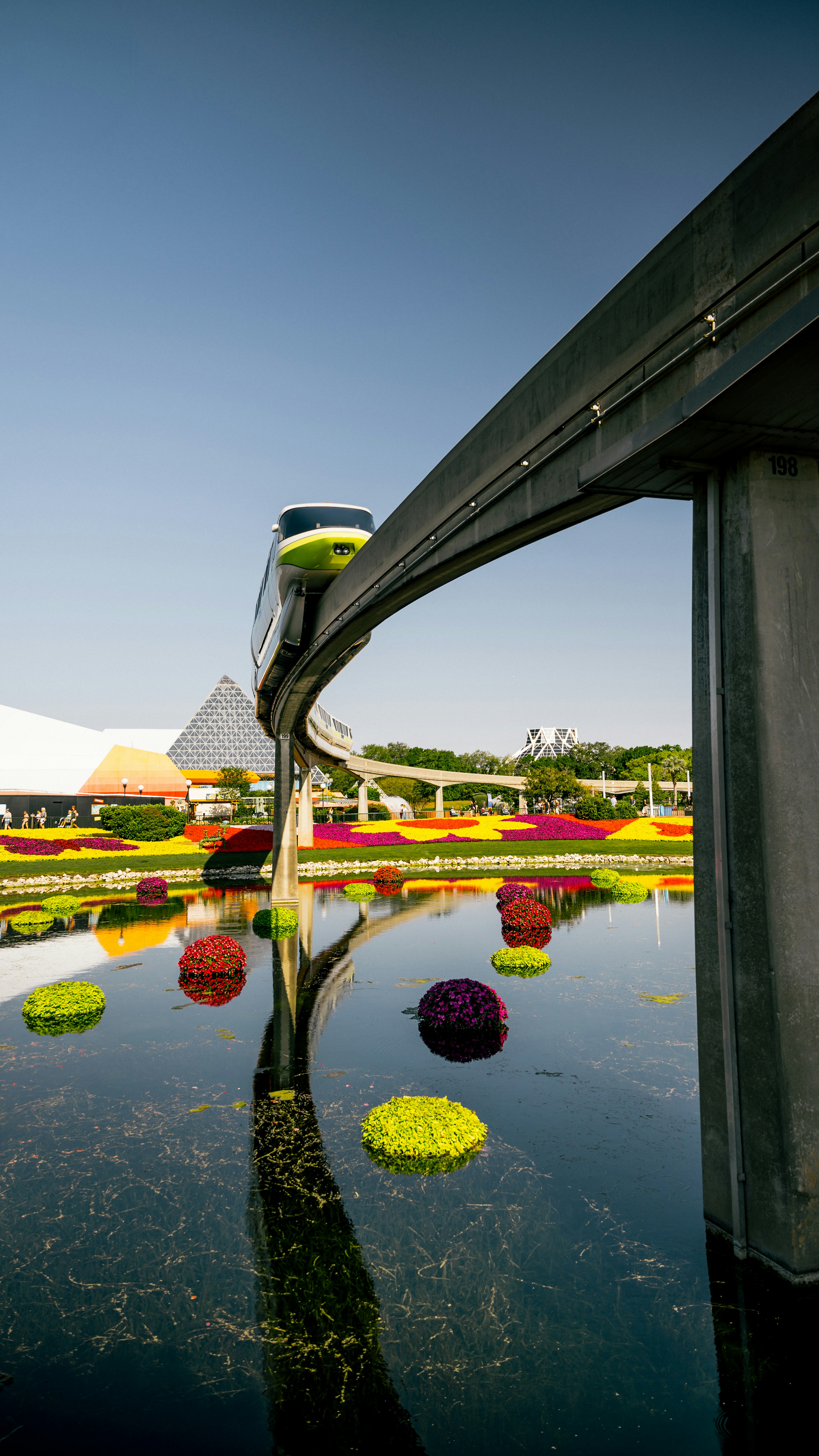 A water slide in a pond with lily pads photo – Free Epcot center drive ...