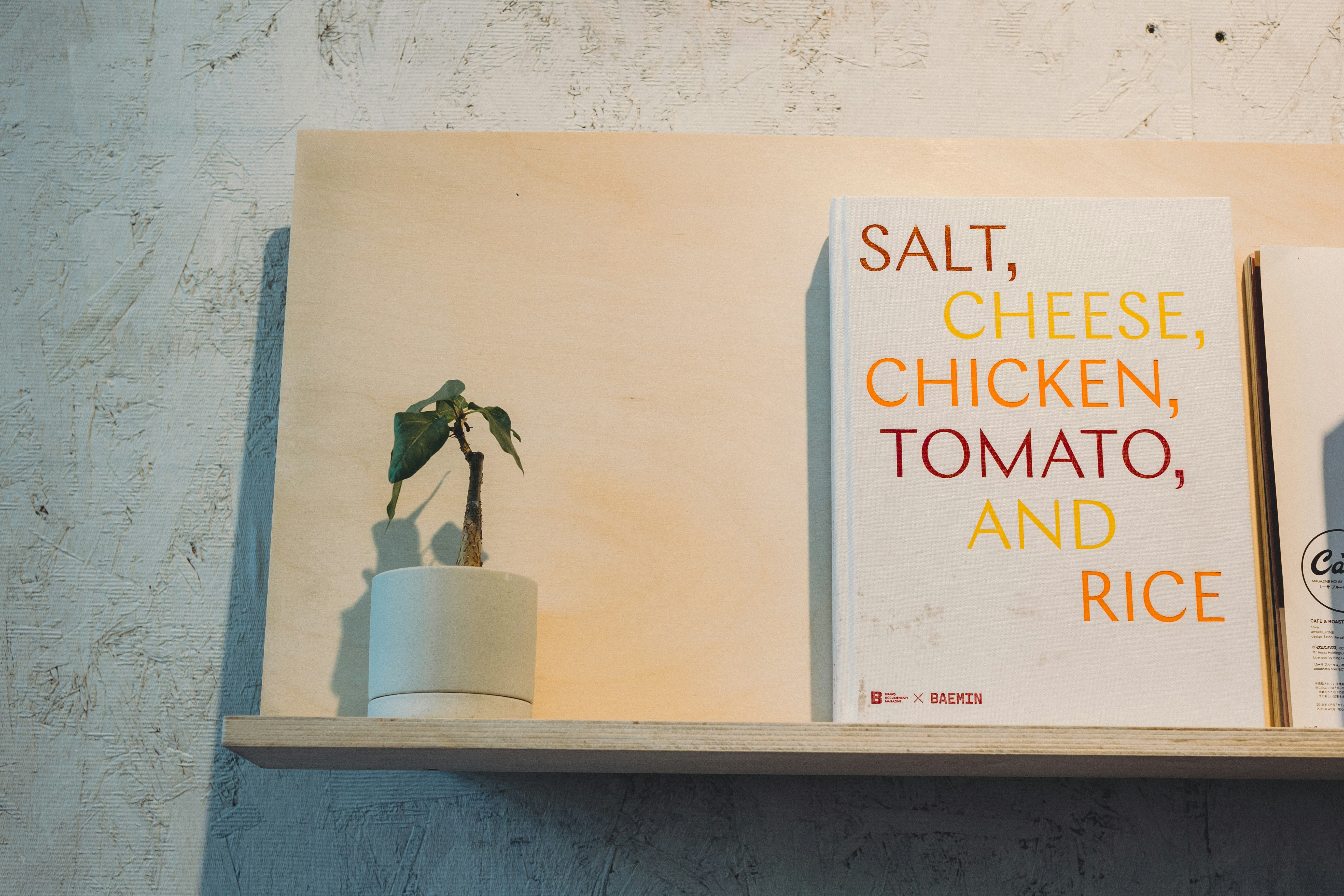 Lone Plant on a Quiet Shelf Framed by a Bright Cookbook