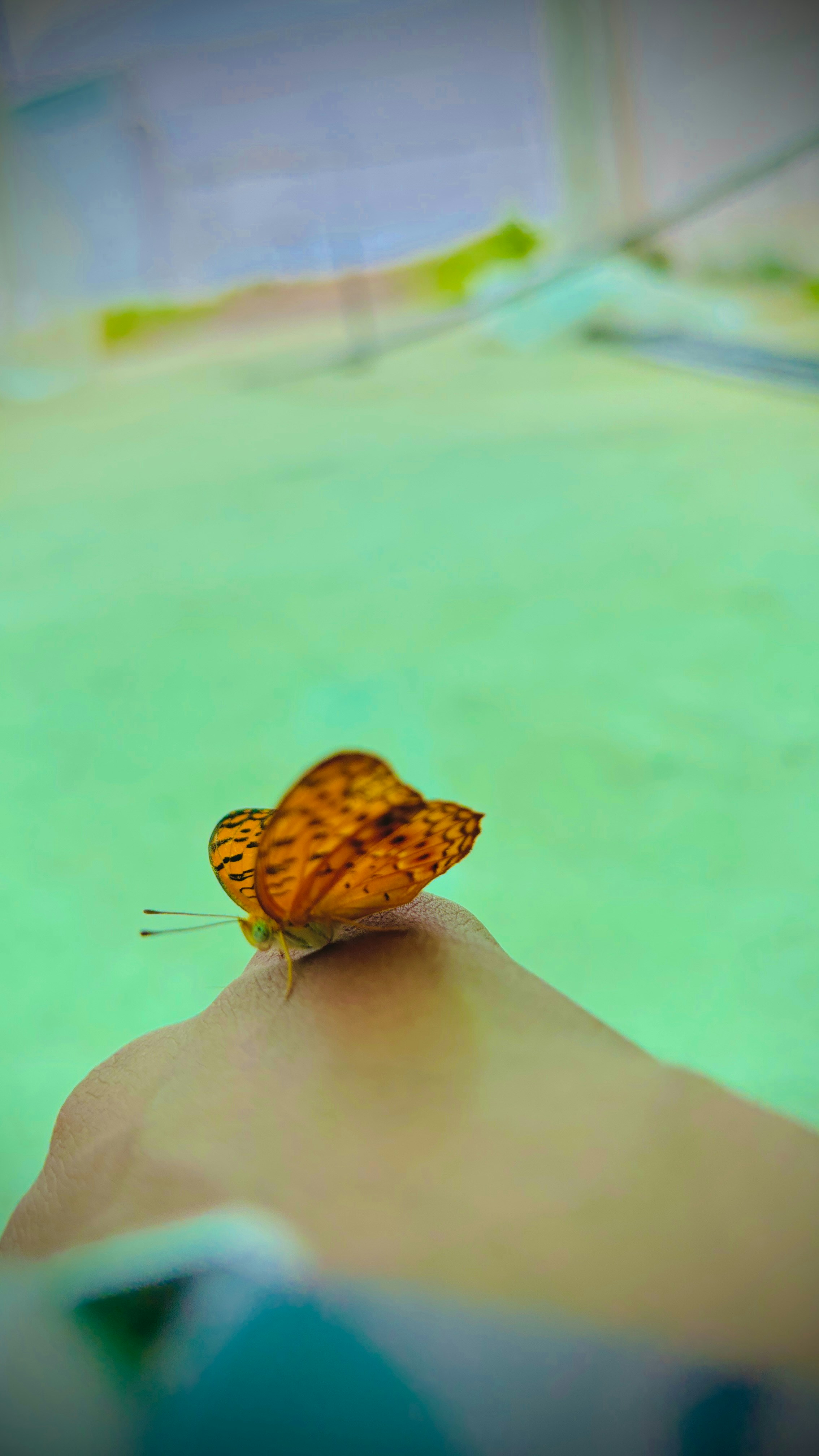 Photo by Abhi Sathe with Apple iPhone 15 Plus