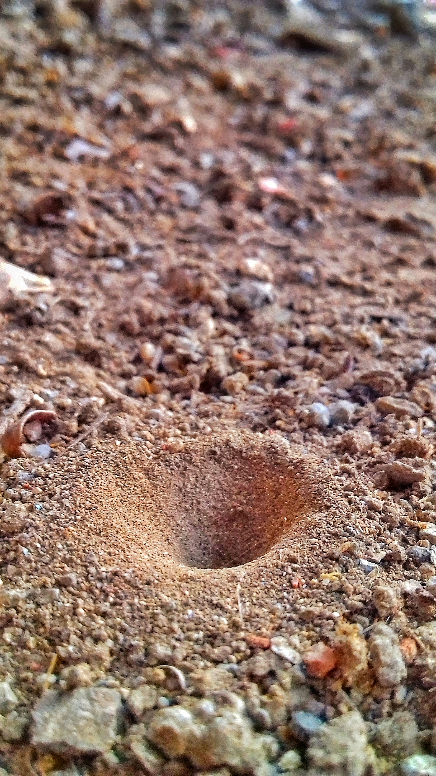Close-up photograph of a shallow soil crater surrounded by gritty gravel, emphasizing texture and micro-topography.