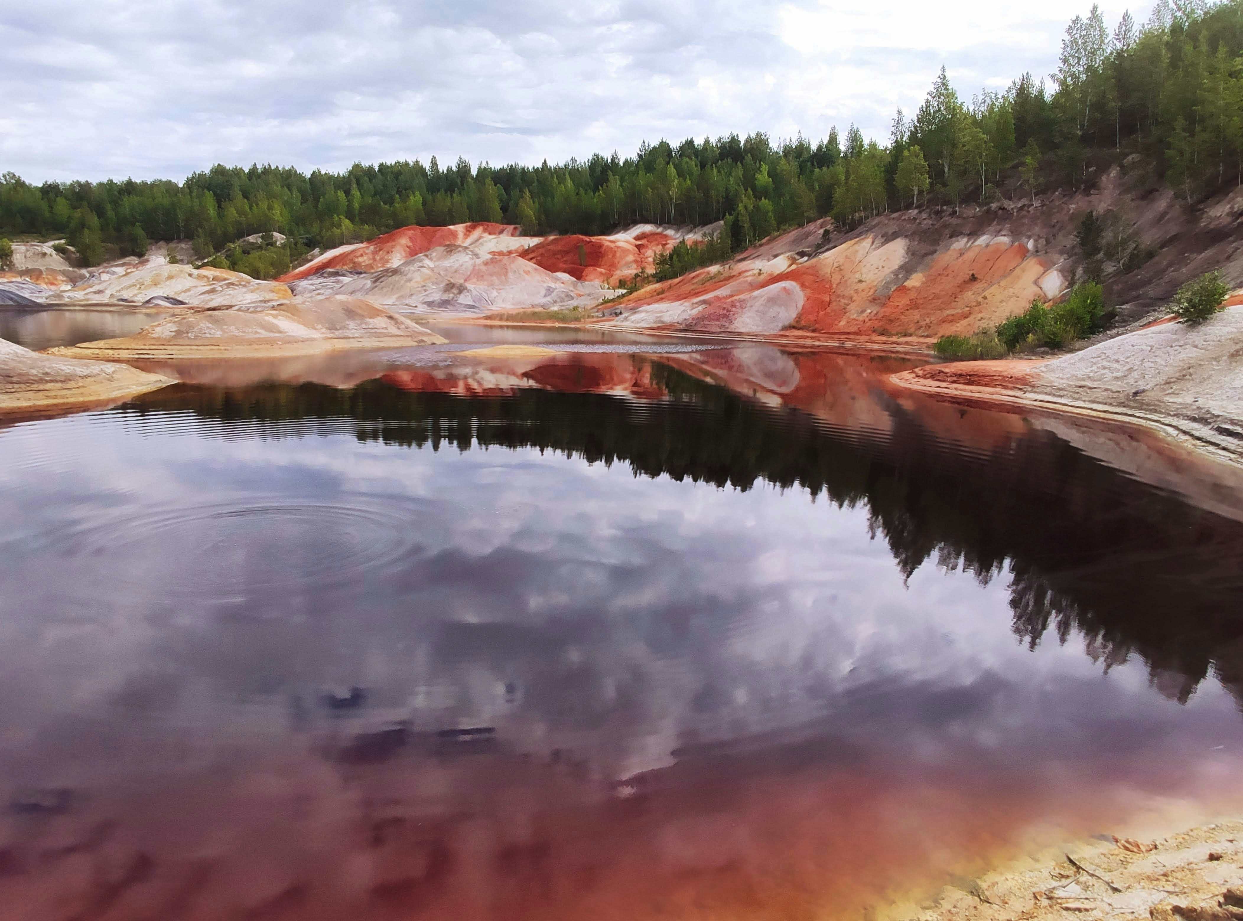 A large body of water surrounded by a forest photo – Free ...