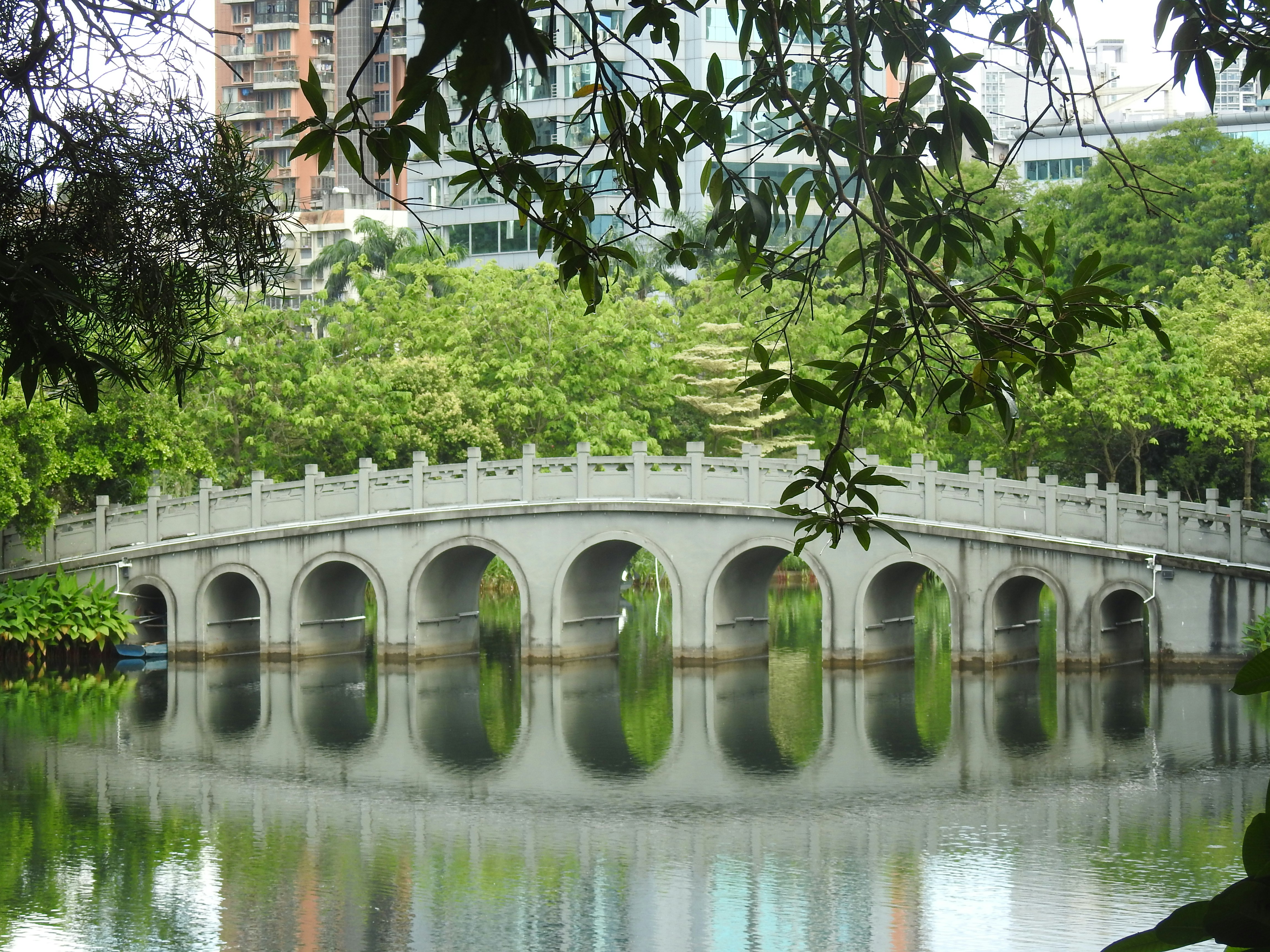 A bridge over a body of water surrounded by trees