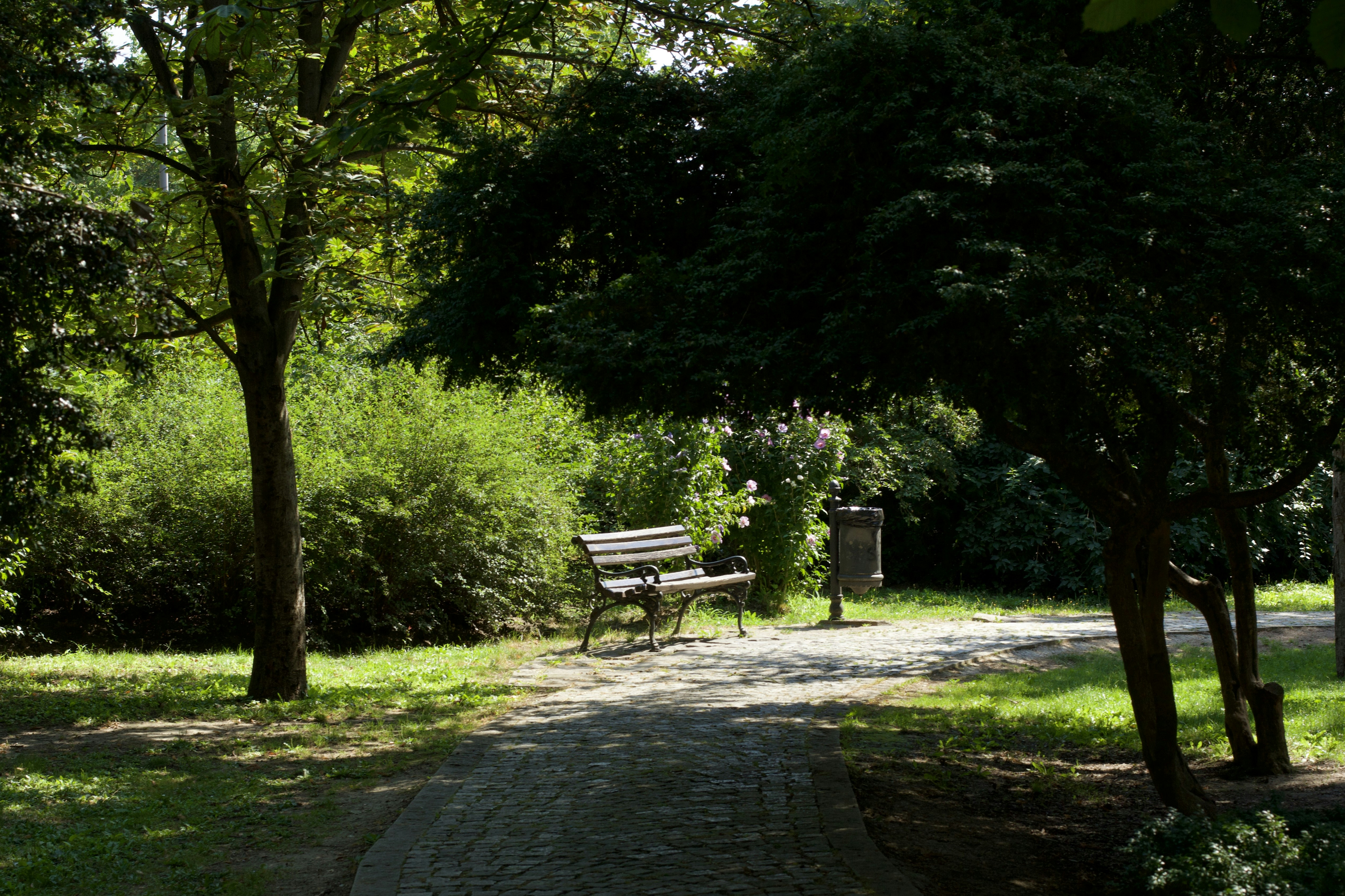 A park bench sitting on top of a lush green park photo – Free Novi sad ...