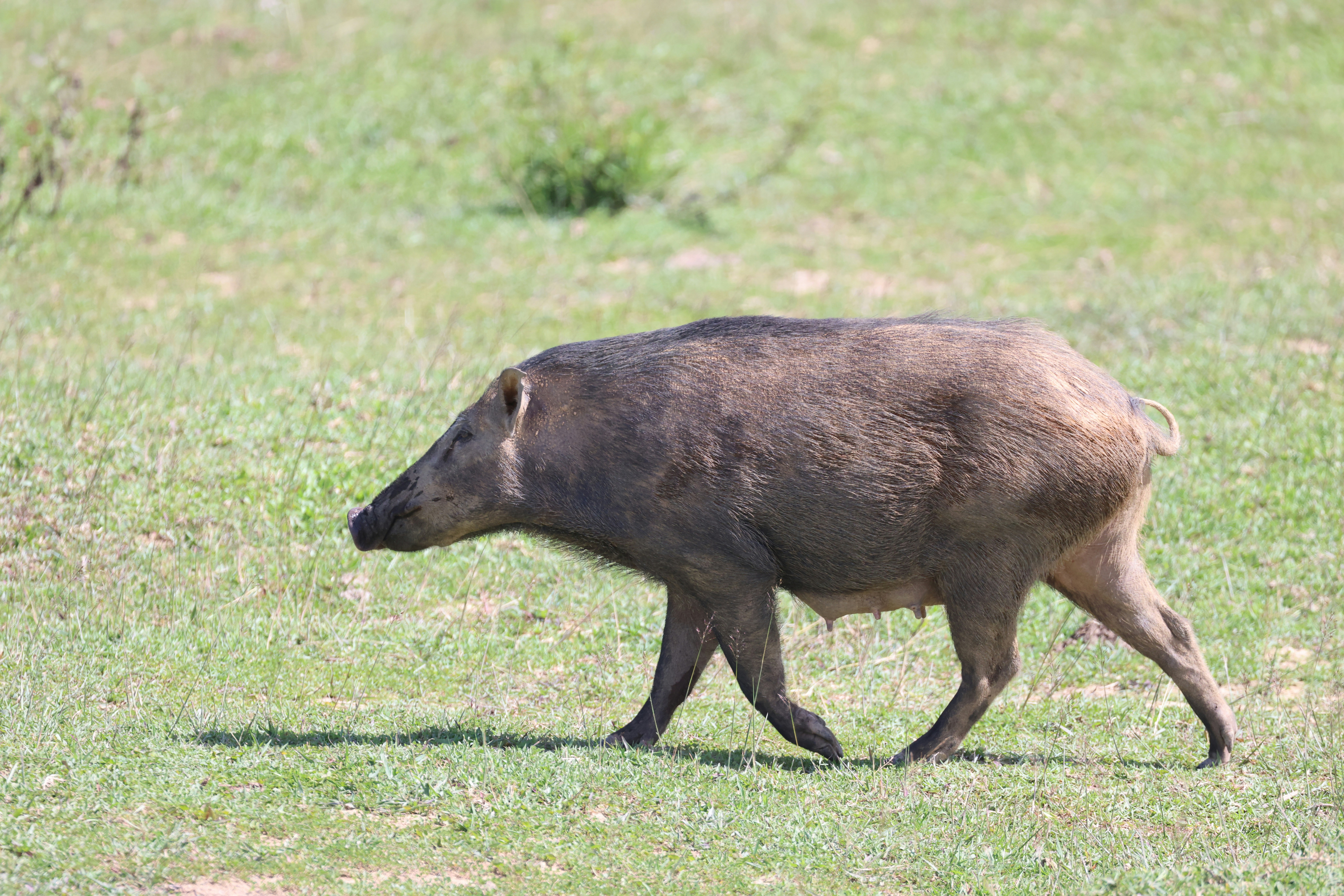 Photo by DL314 Lin with Canon EOS R5