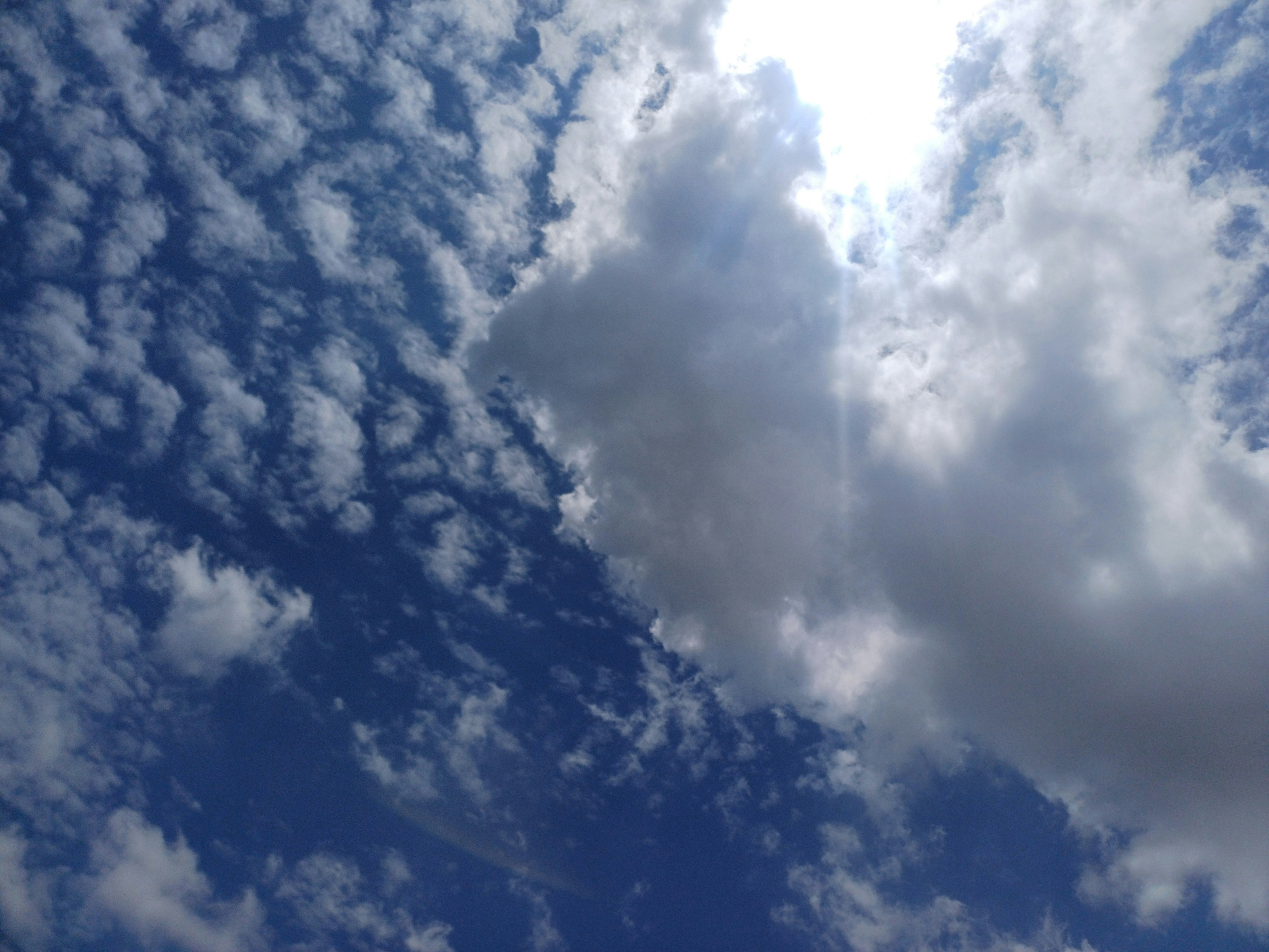 Photo by Srinivas Kalluthati with Samsung Galaxy A34