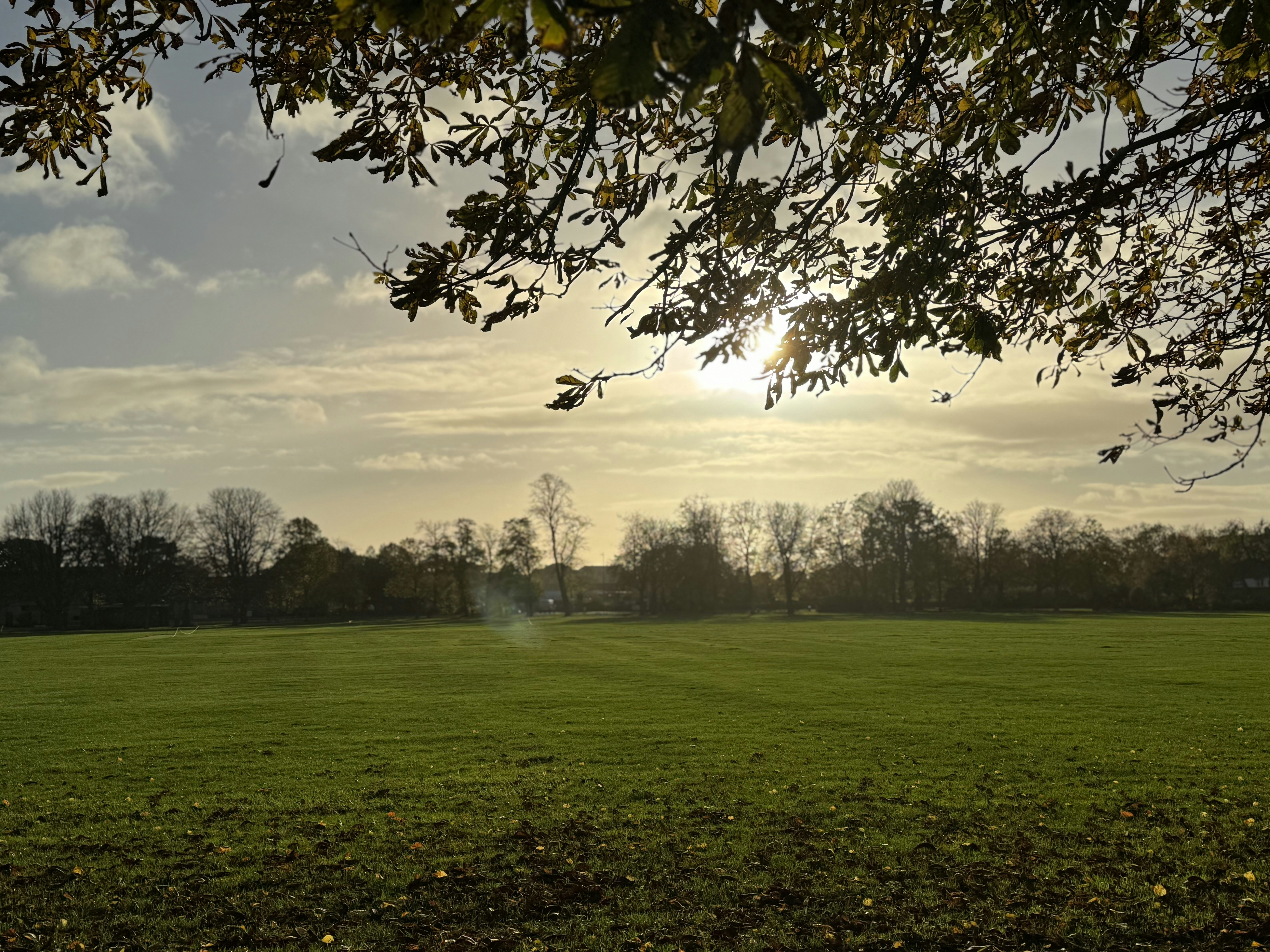 Rajesh Kumar Dayalan (@drajeshkumar11) | Comunidade de fotos da Unsplash