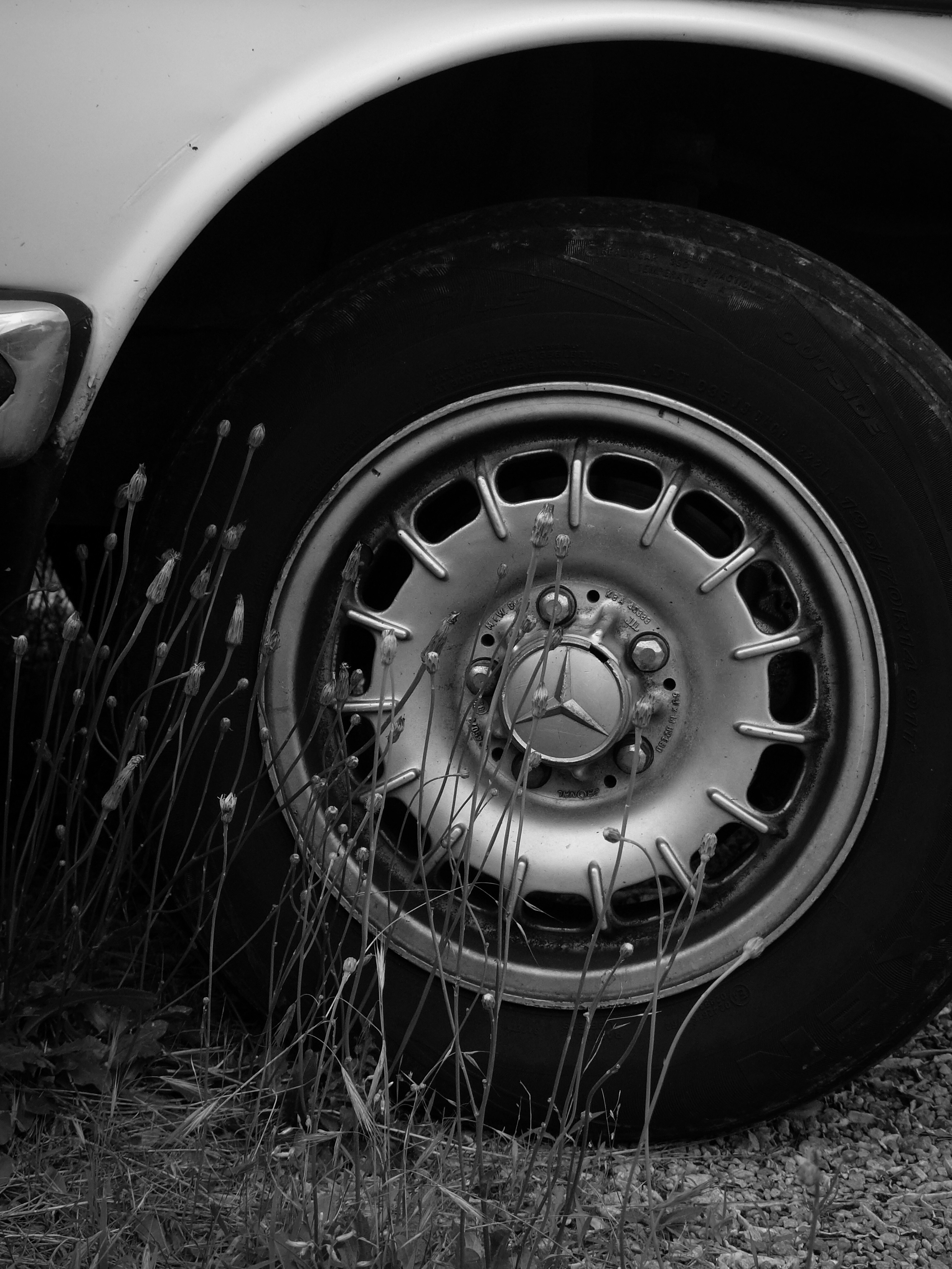 Photo by Maxence Ambert with Sony Xperia 5 V