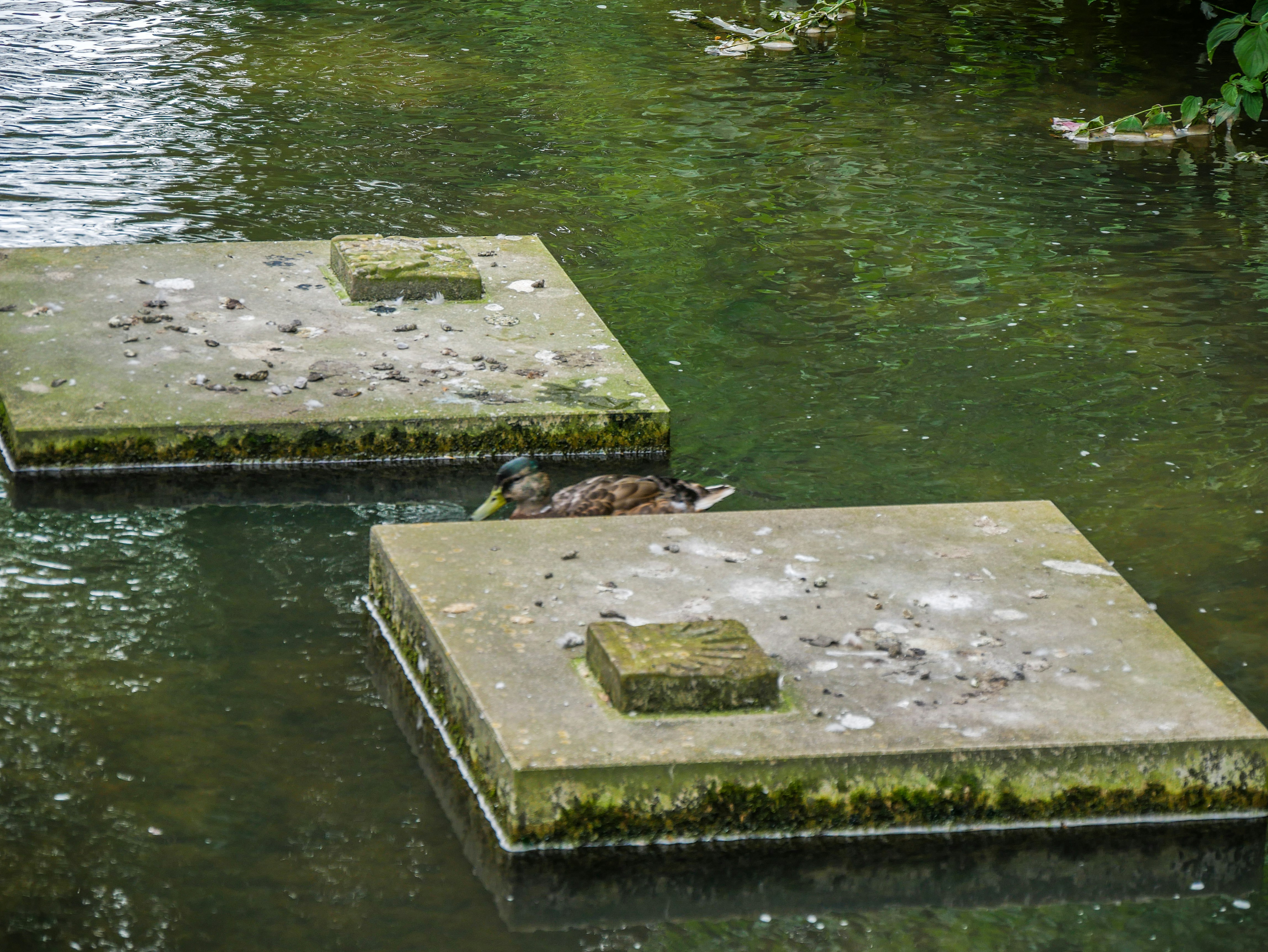 A couple of concrete blocks floating in a river photo – Free Nature ...