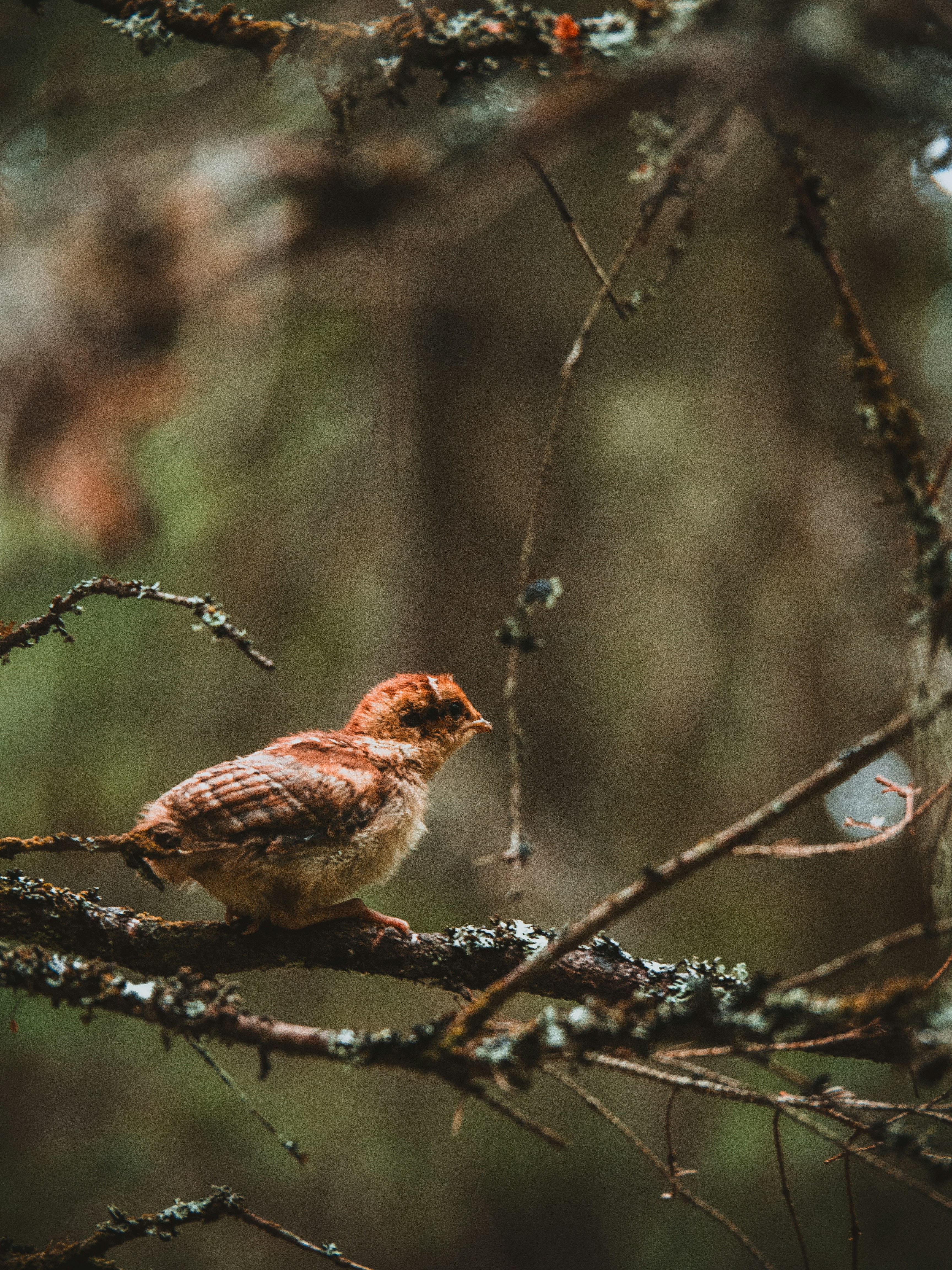 Photo by Anton Sobotyak with Olympus OM-D E-M10