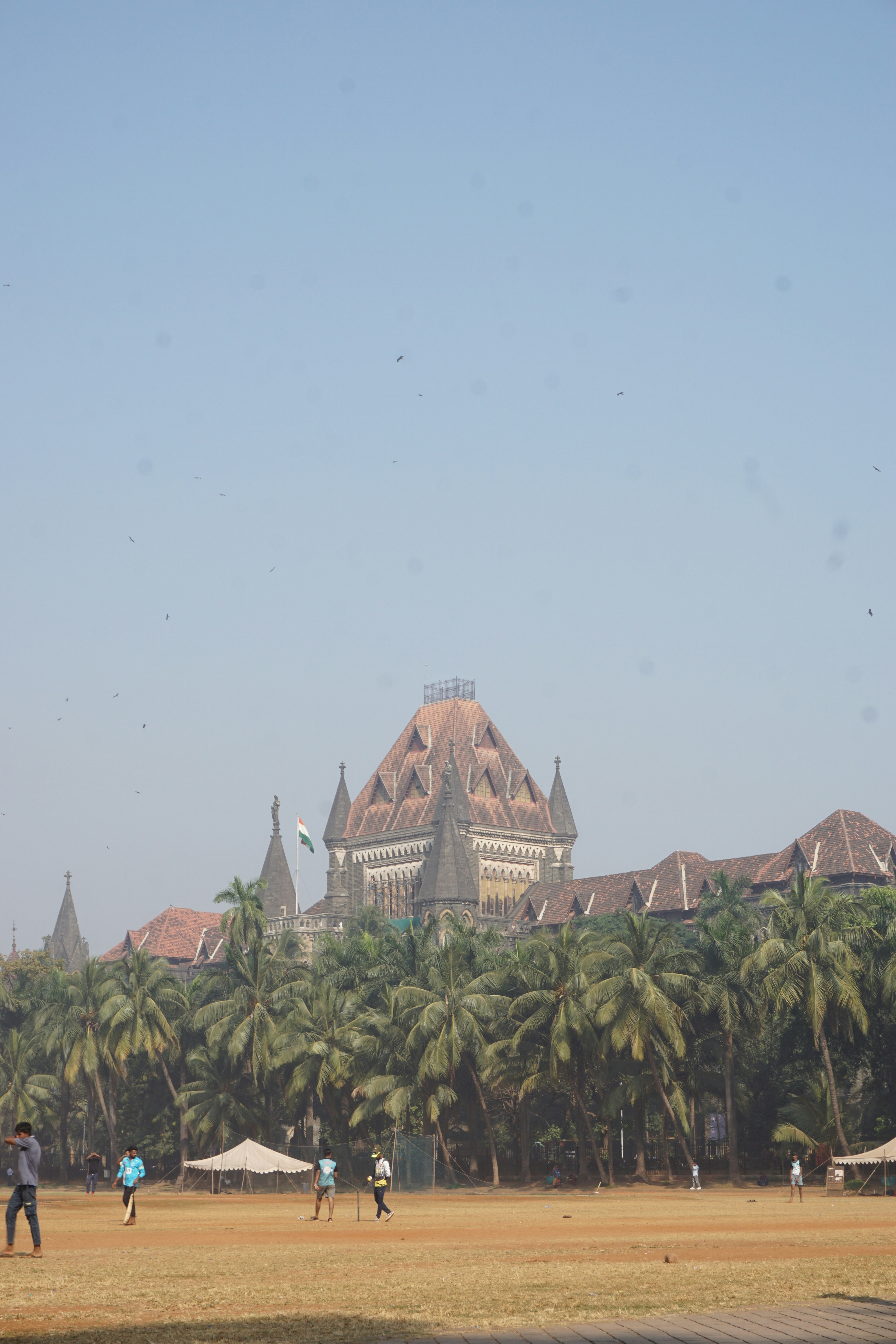 Raw Images Pictures | Download Free Images on Unsplash