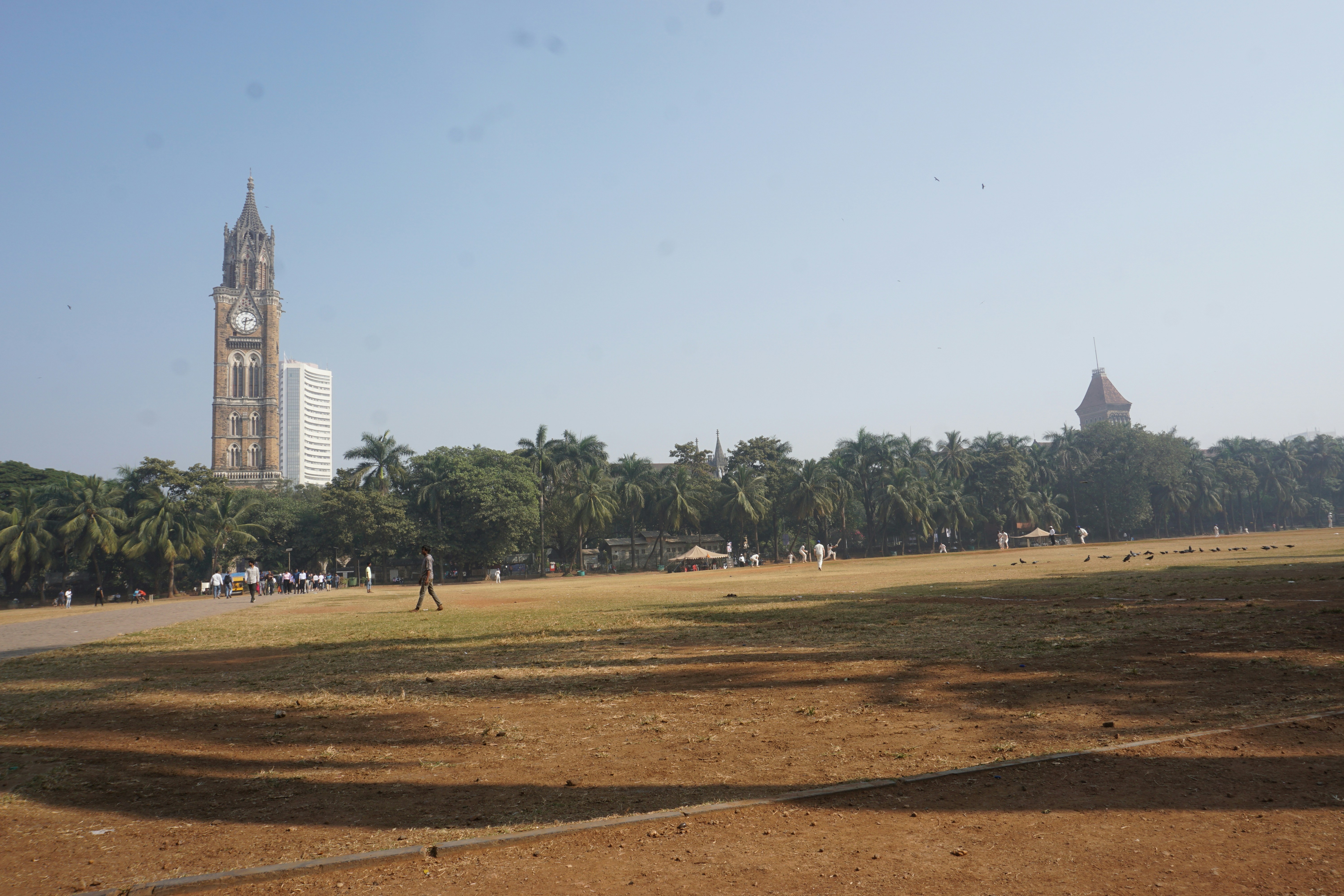 A large clock tower towering over a lush green park photo – Free ...