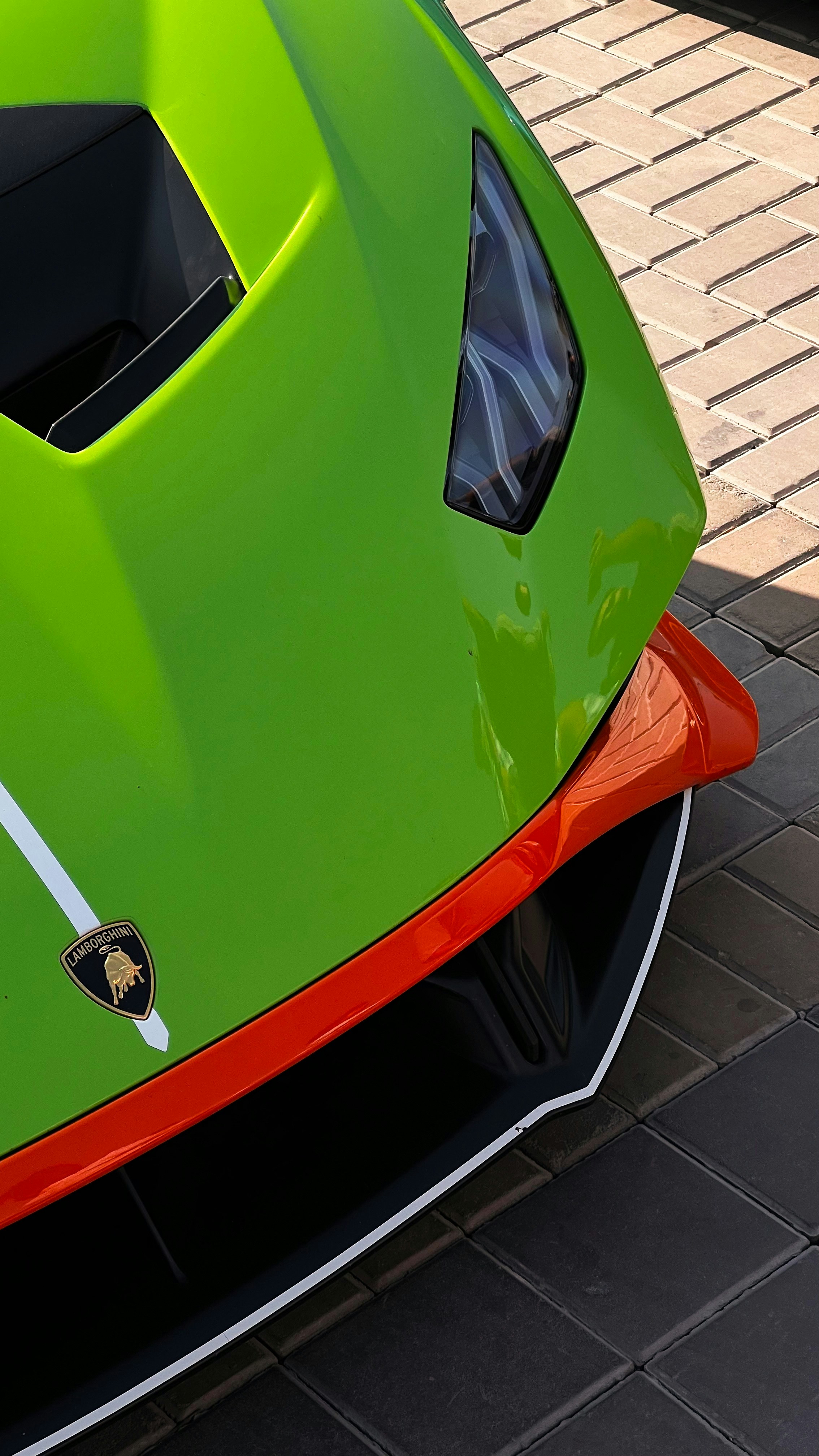 Vivid Elegance: The Lamborghini's Bold Aesthetic