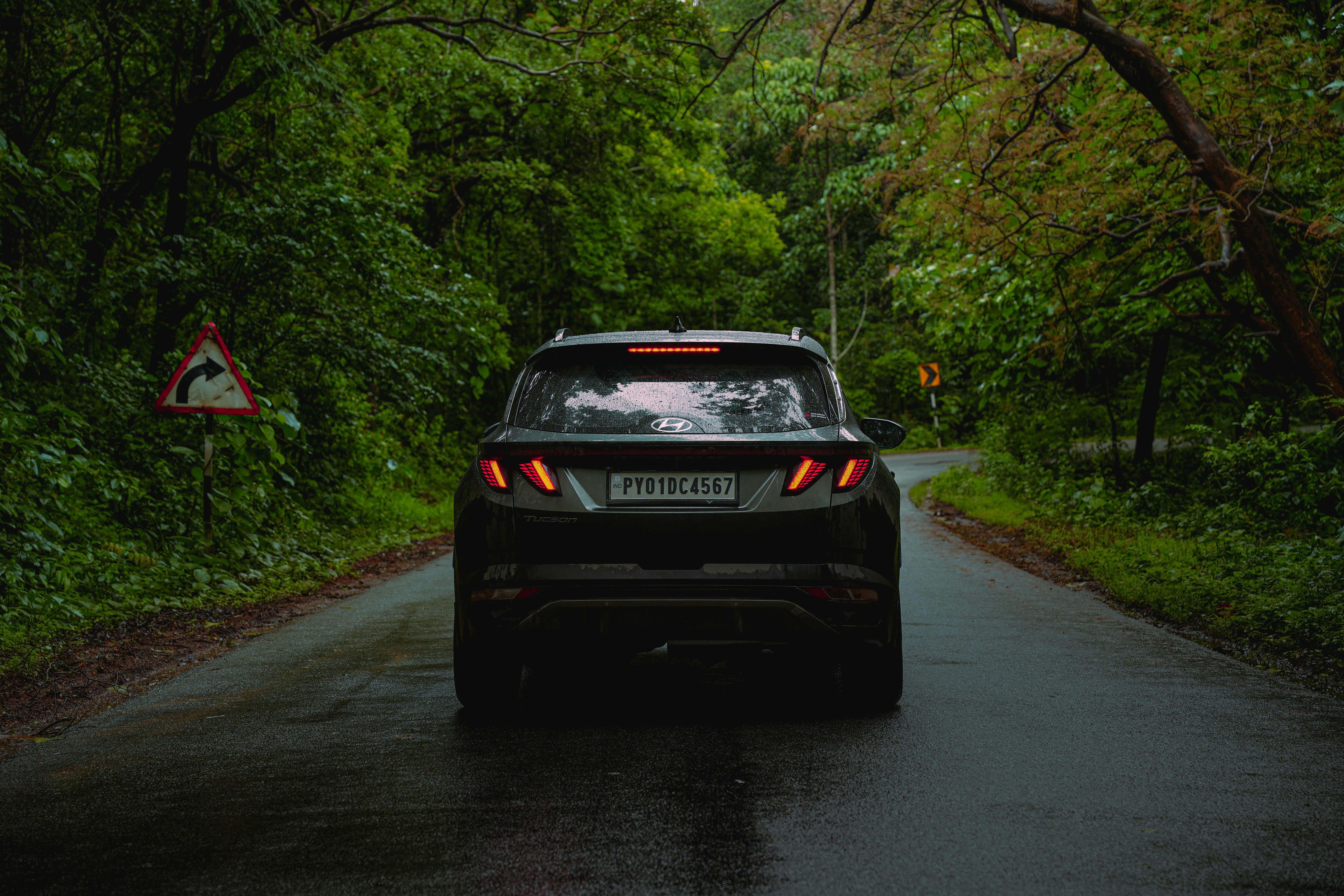 Rear Glow on a Rain-Washed Forest Drive