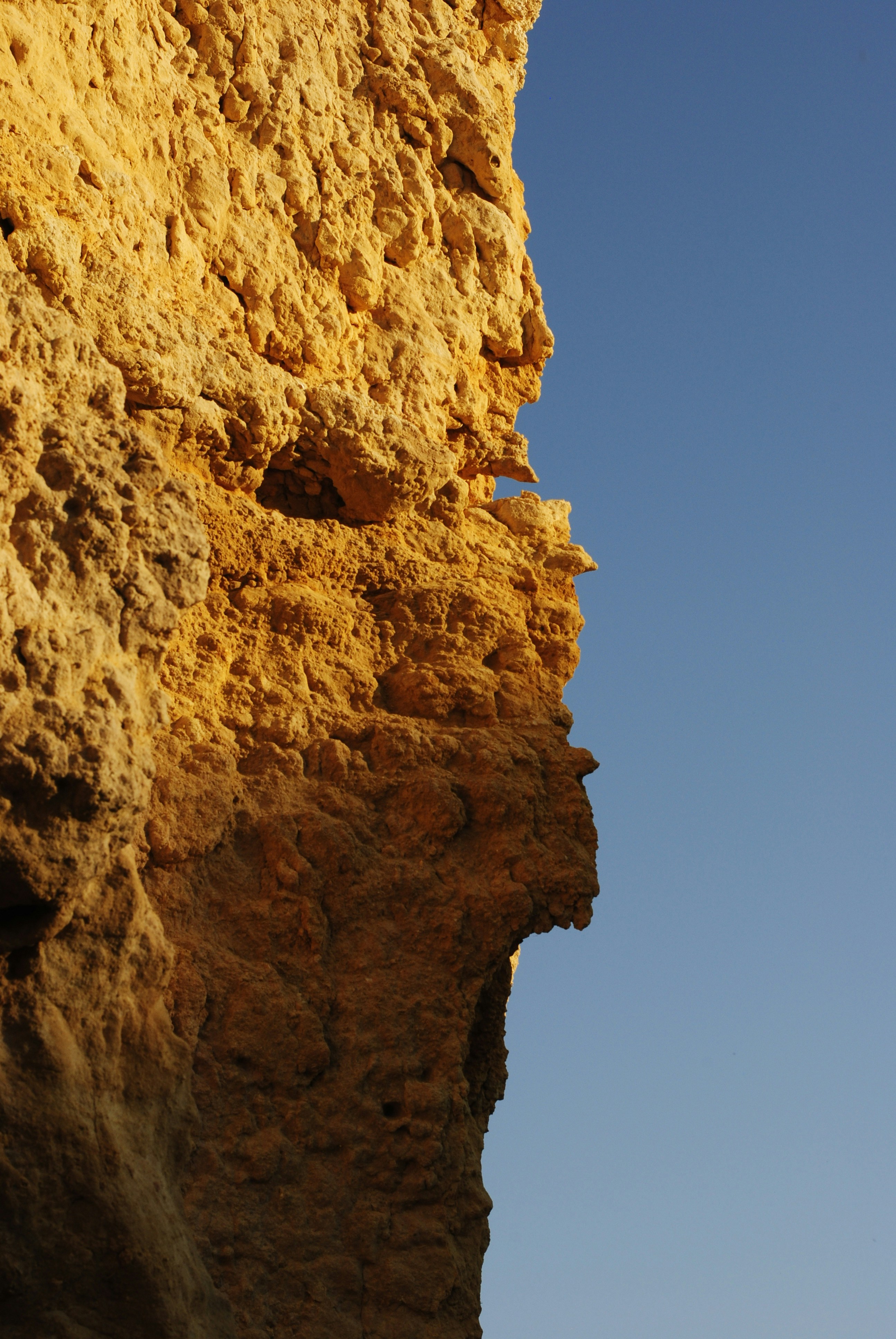 A person standing on a cliff with a surfboard photo – Free Albufeira ...