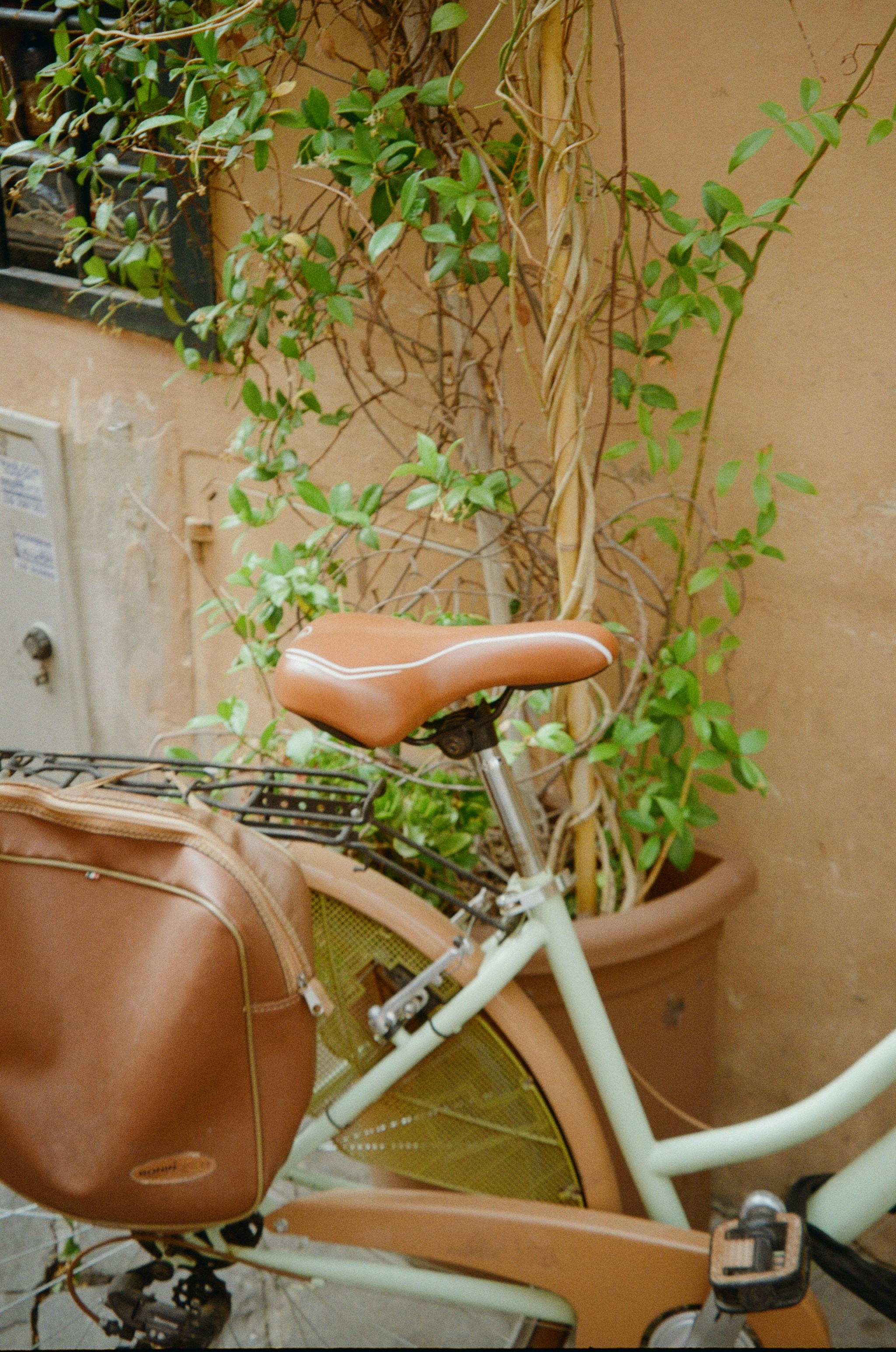 Photo by Krišjānis Kazaks with Pentax Espio 145M Super