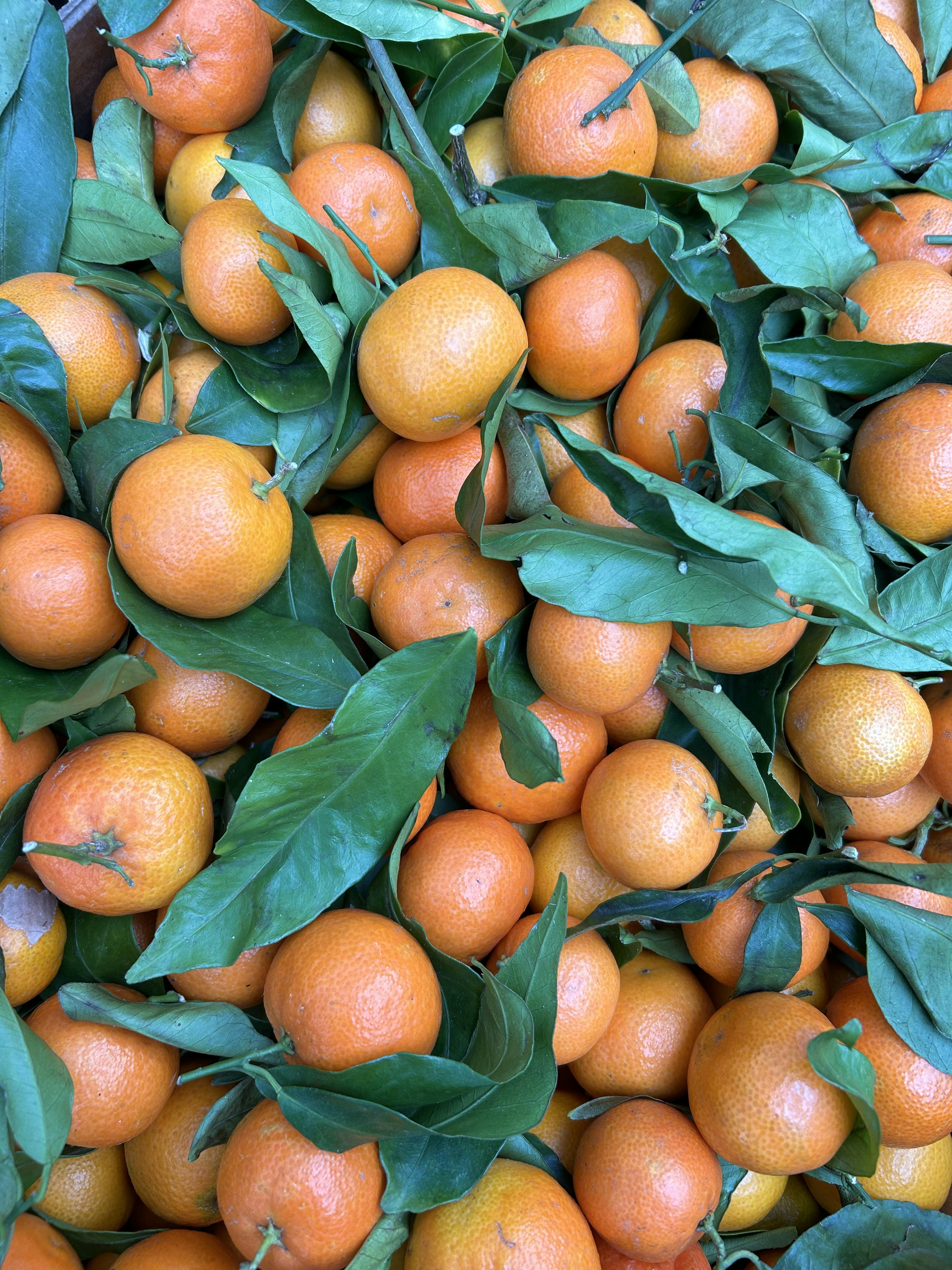 Photo by DUET. PHOTO with Apple iPhone 14