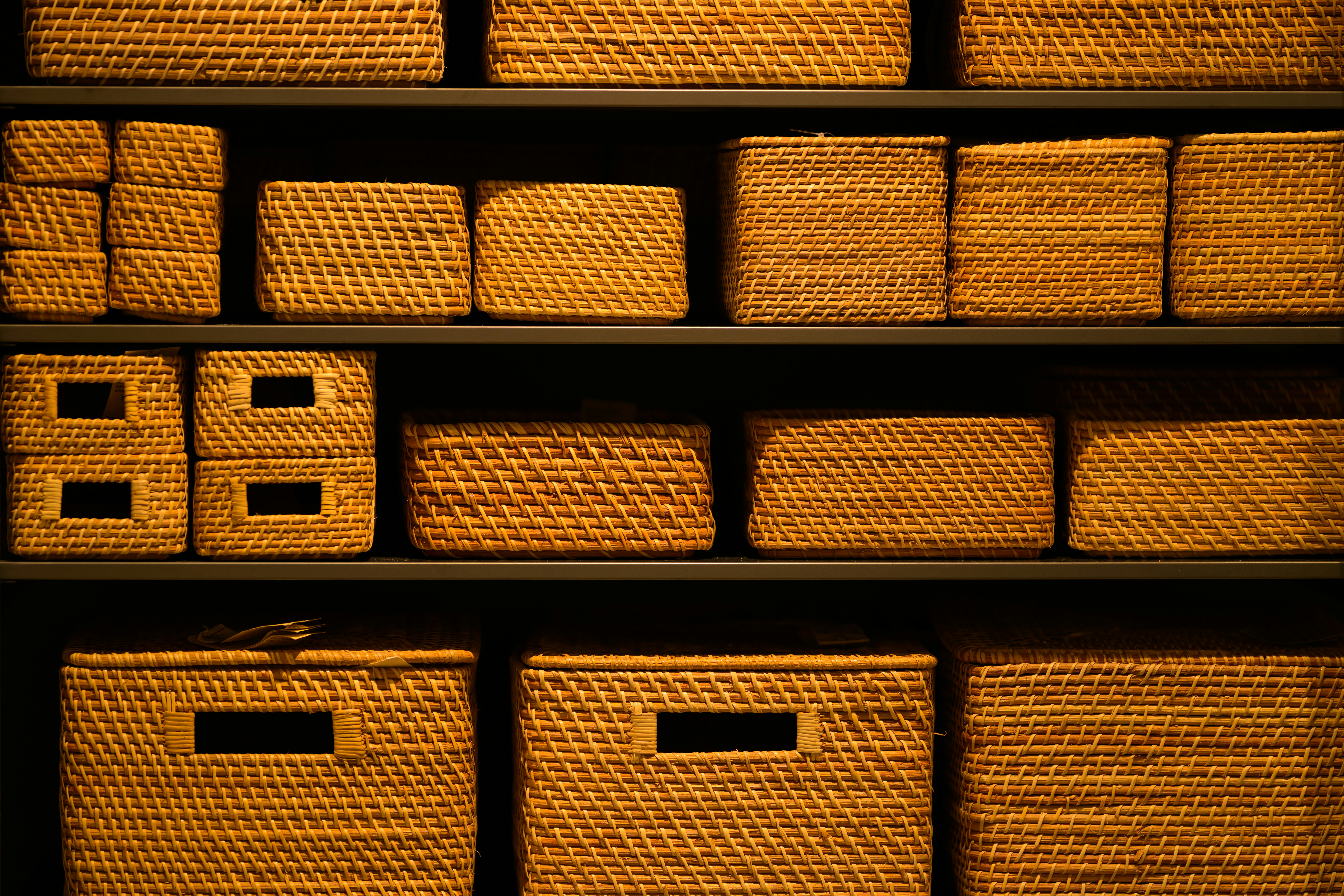 Photo by Declan Sun with Nikon Z8