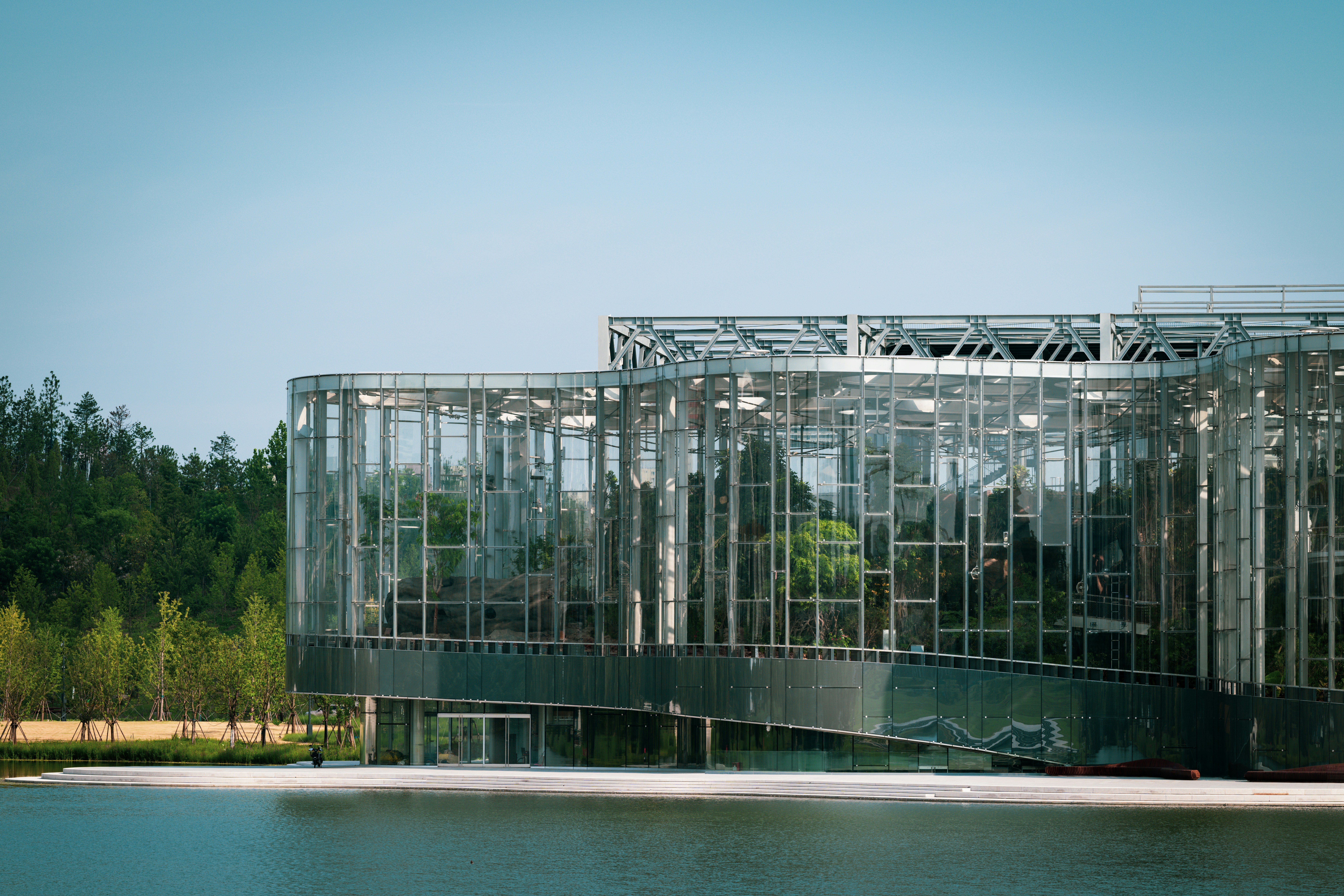 Photo by Declan Sun with Nikon Z8