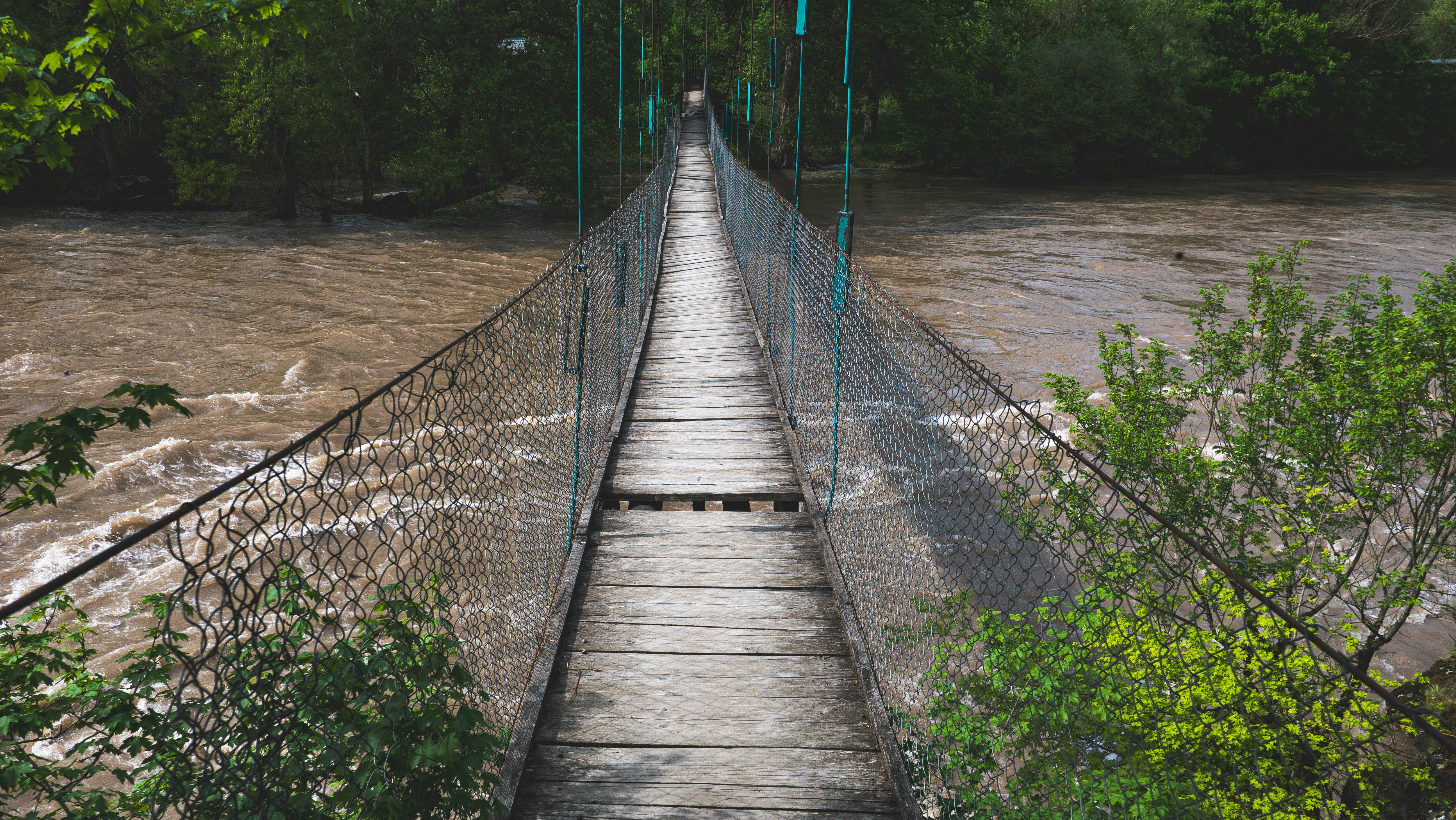 Vanishing Span: A Narrow Suspension Bridge Crossing Murky Green Currents