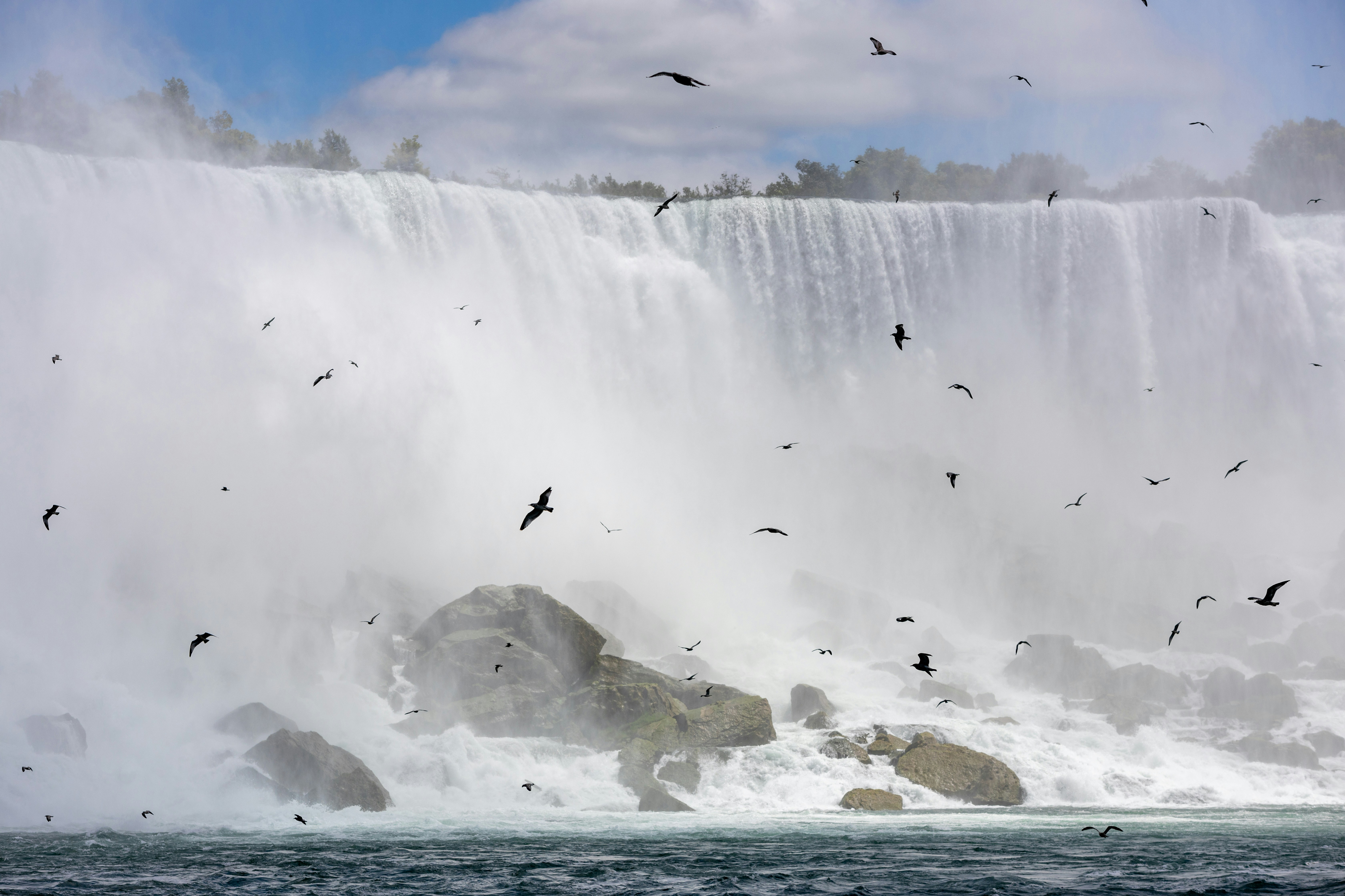 Lots of seagulls flying in front of a massive waterfall at Niagara Falls