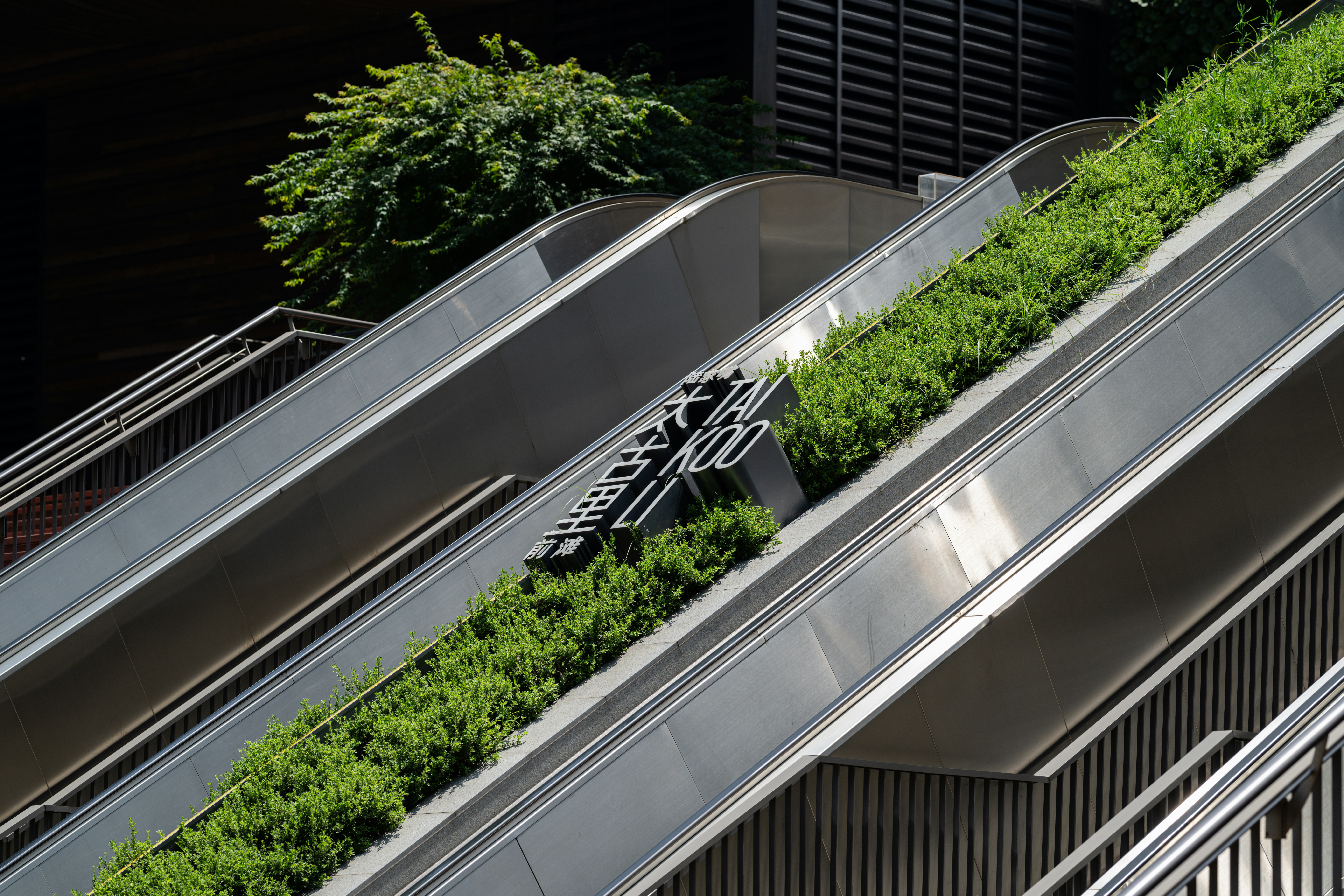 A couple of escalators with plants growing on them photo – Free ...