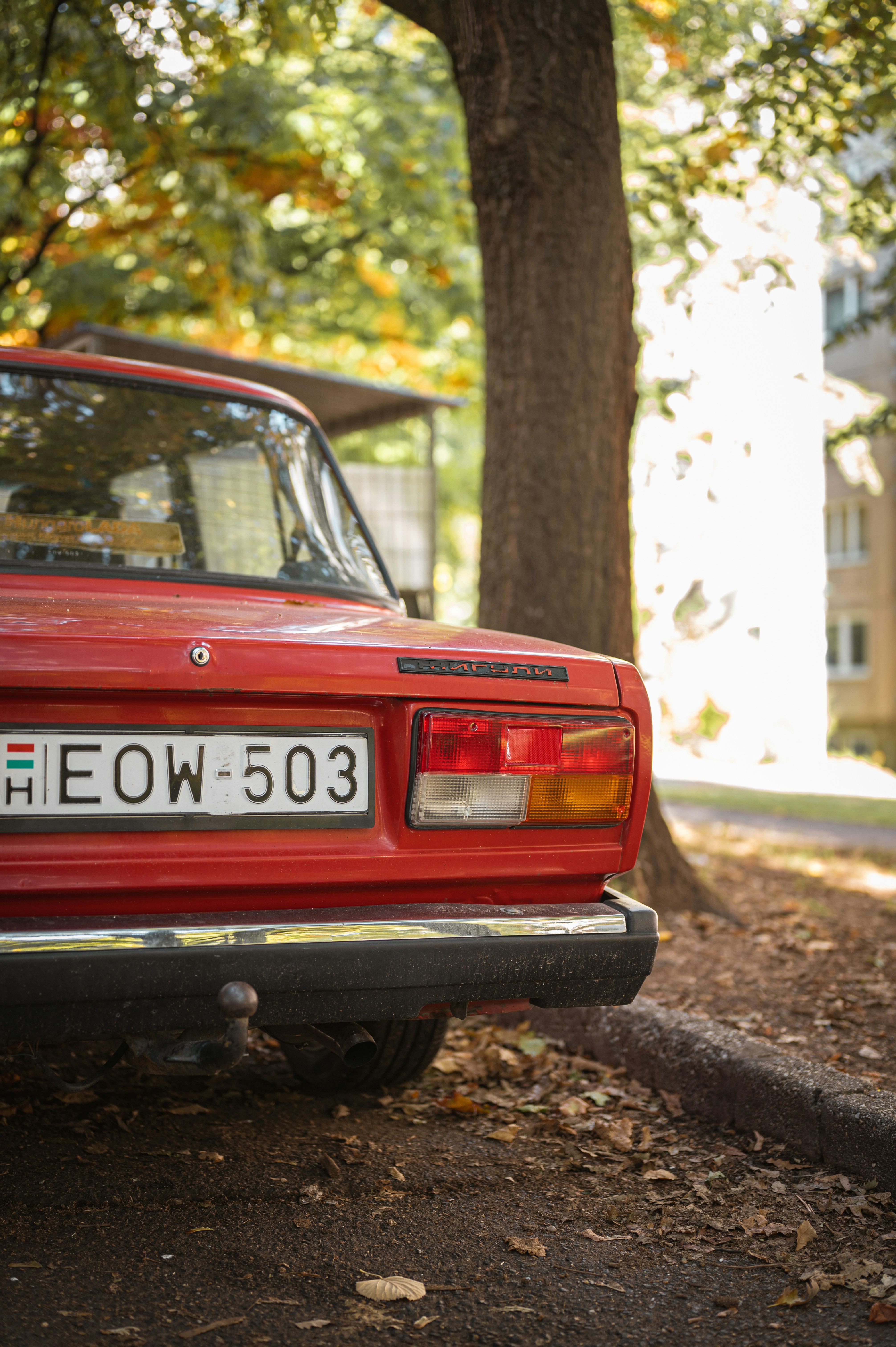 Photo by Janka Jonas with Nikon Z6 II