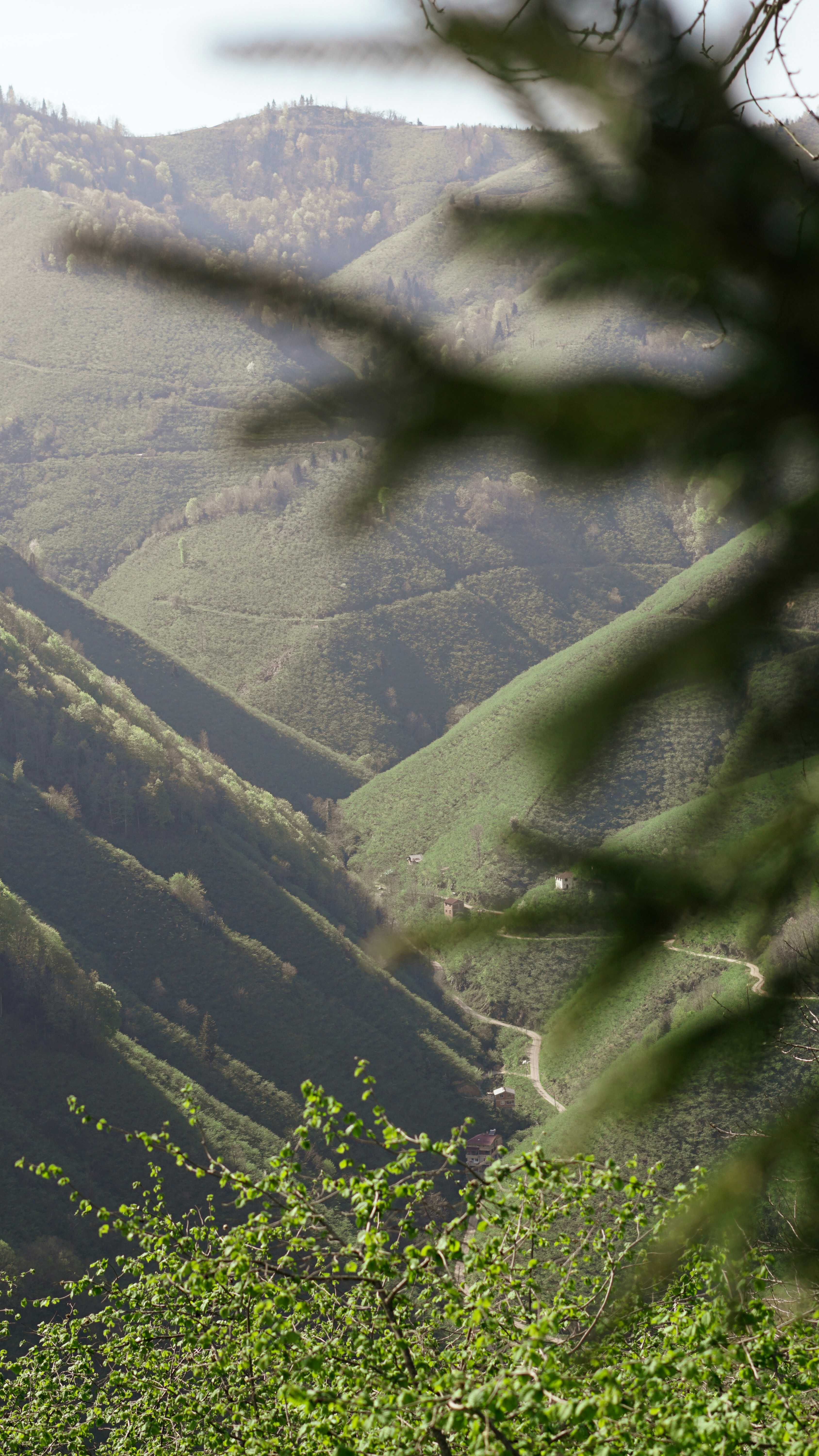 Stepped Valleys in Quiet Light