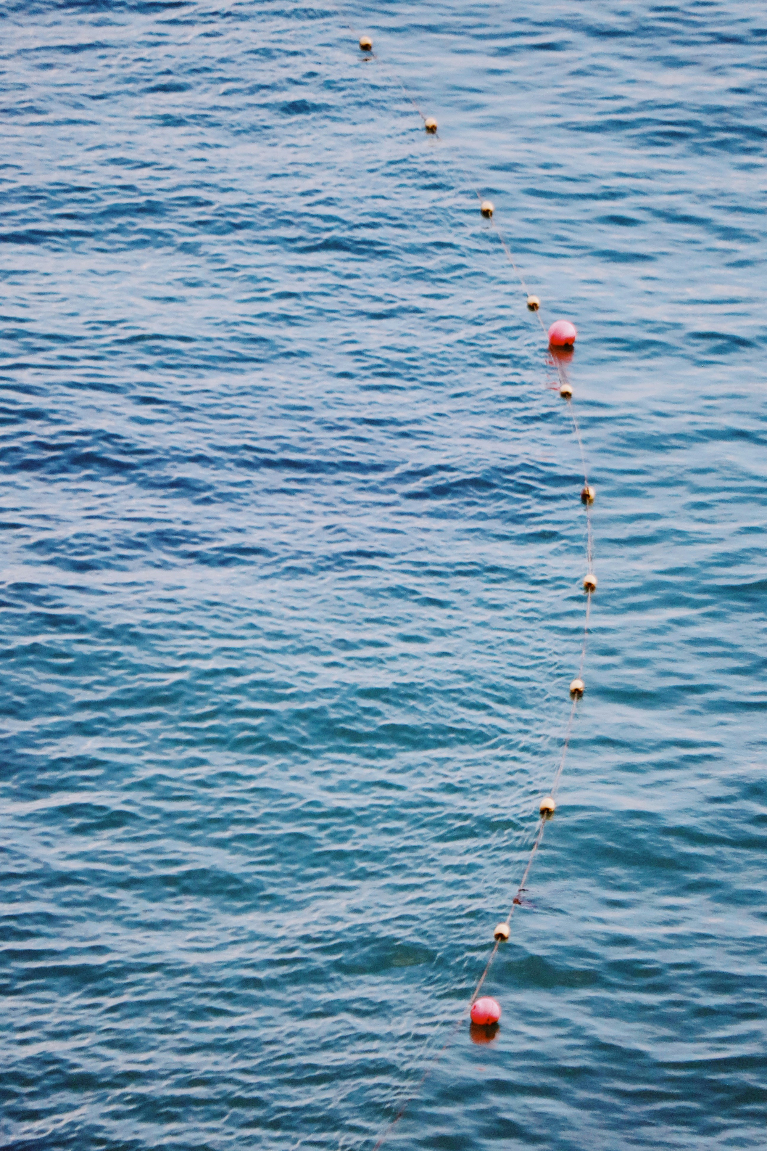 A line of balls floating on top of a body of water photo – Free Blue ...
