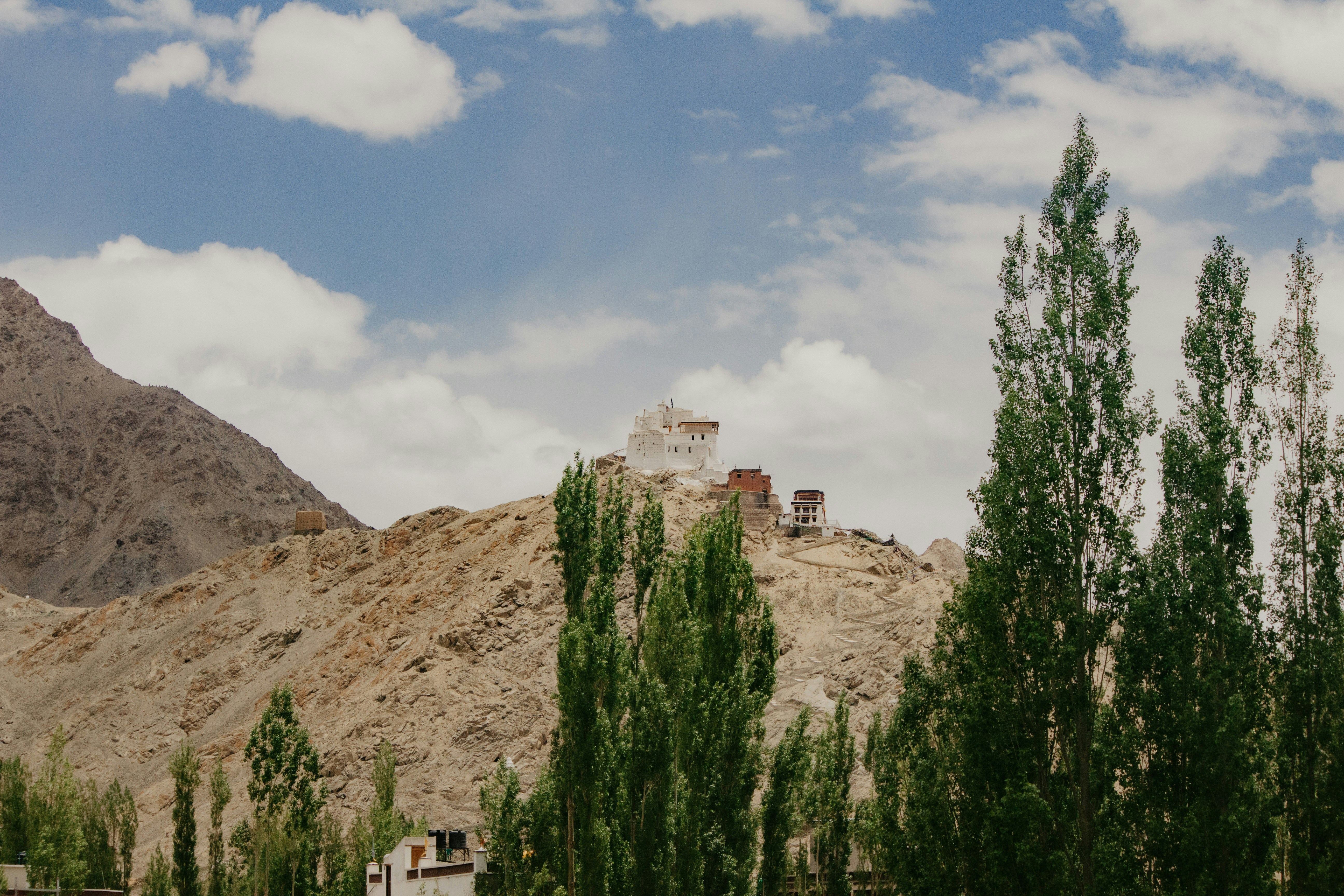Ridgehold Overlook: A Stone Fortress Crowned by Pines