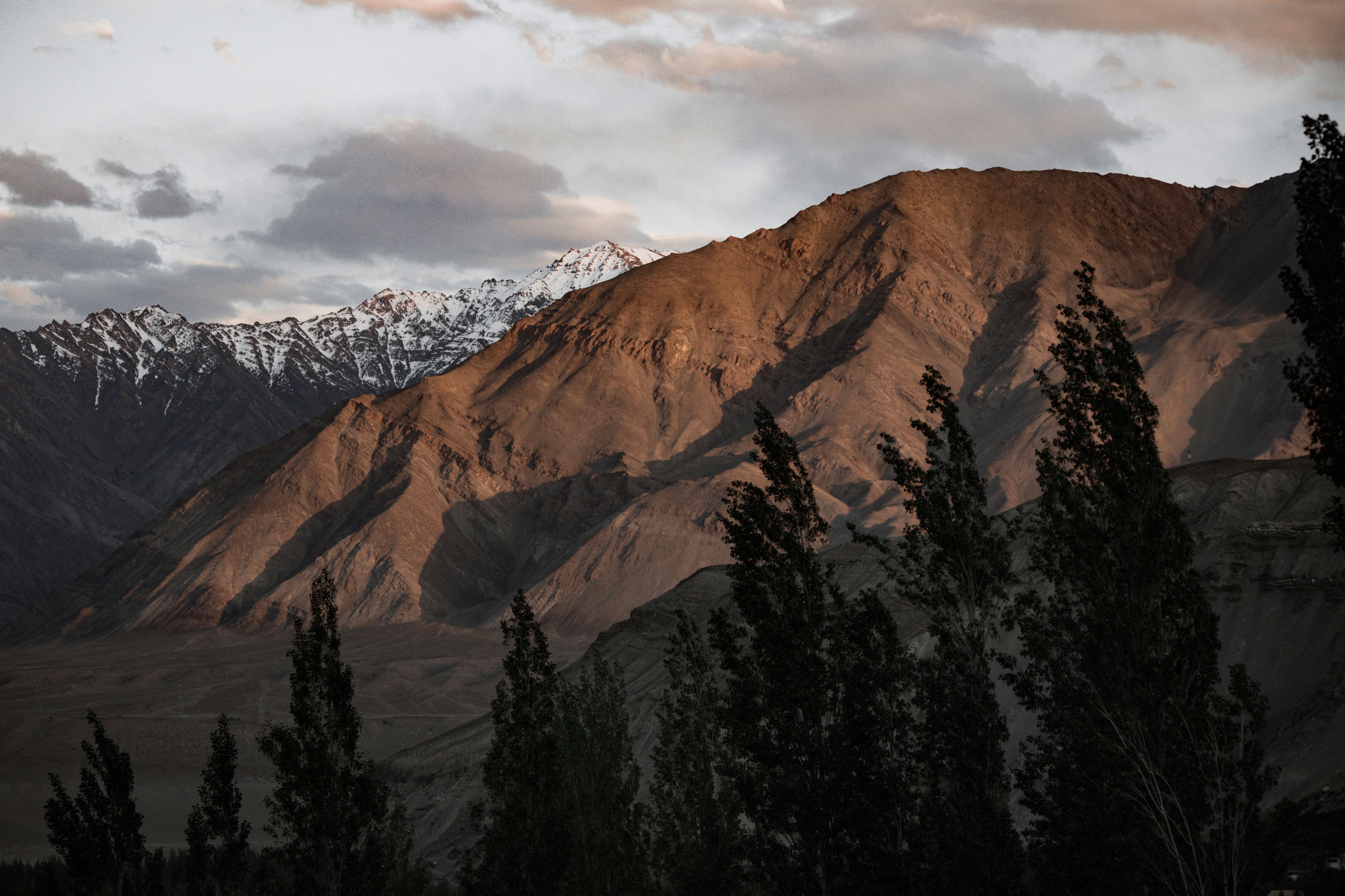 Sunlit Peaks: Golden Ridge Amid Silent Pines