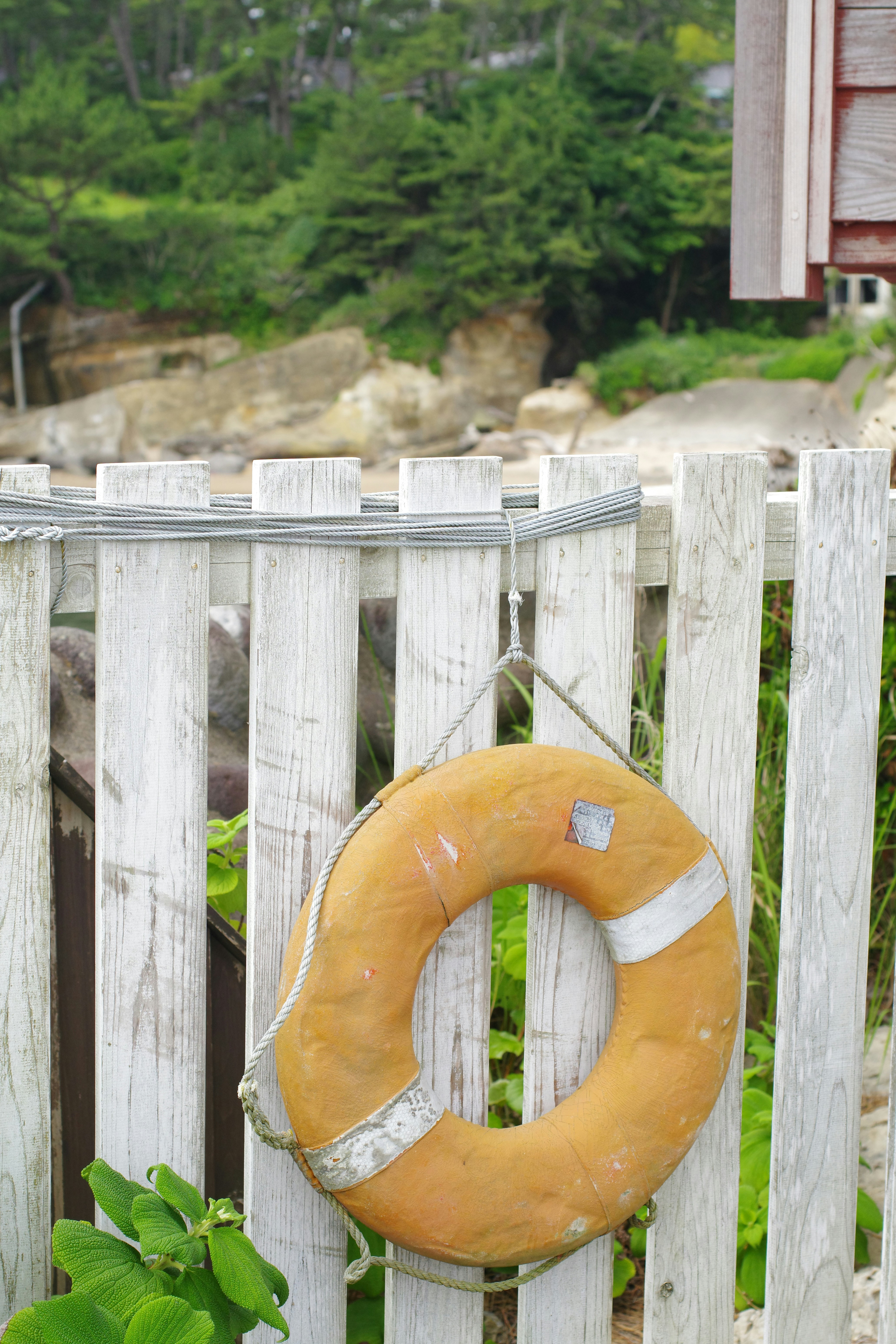 Orange Lifebuoy on Weathered Fence Framing a Coastal Scene