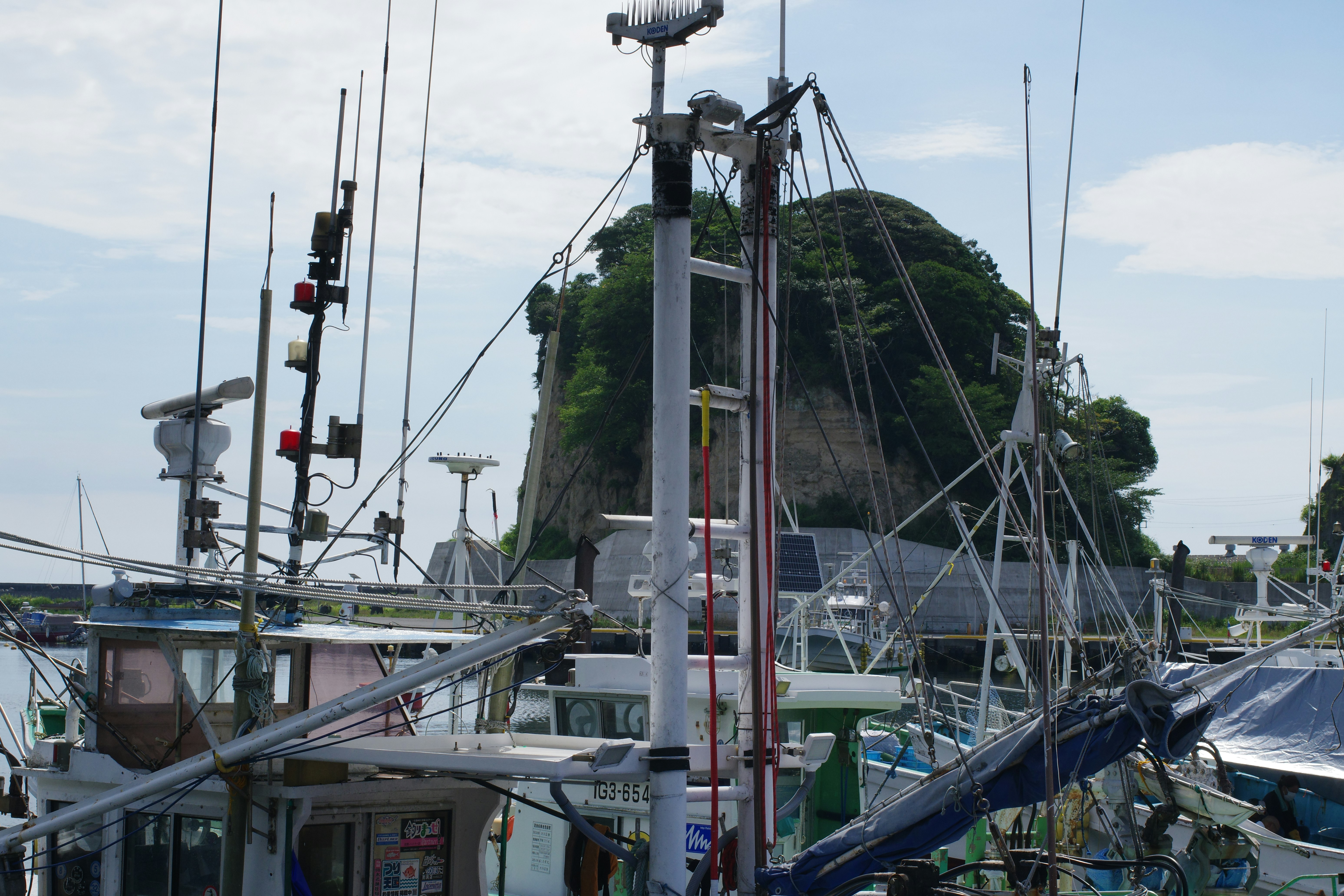 Mast Forest Over a Harbor Islet